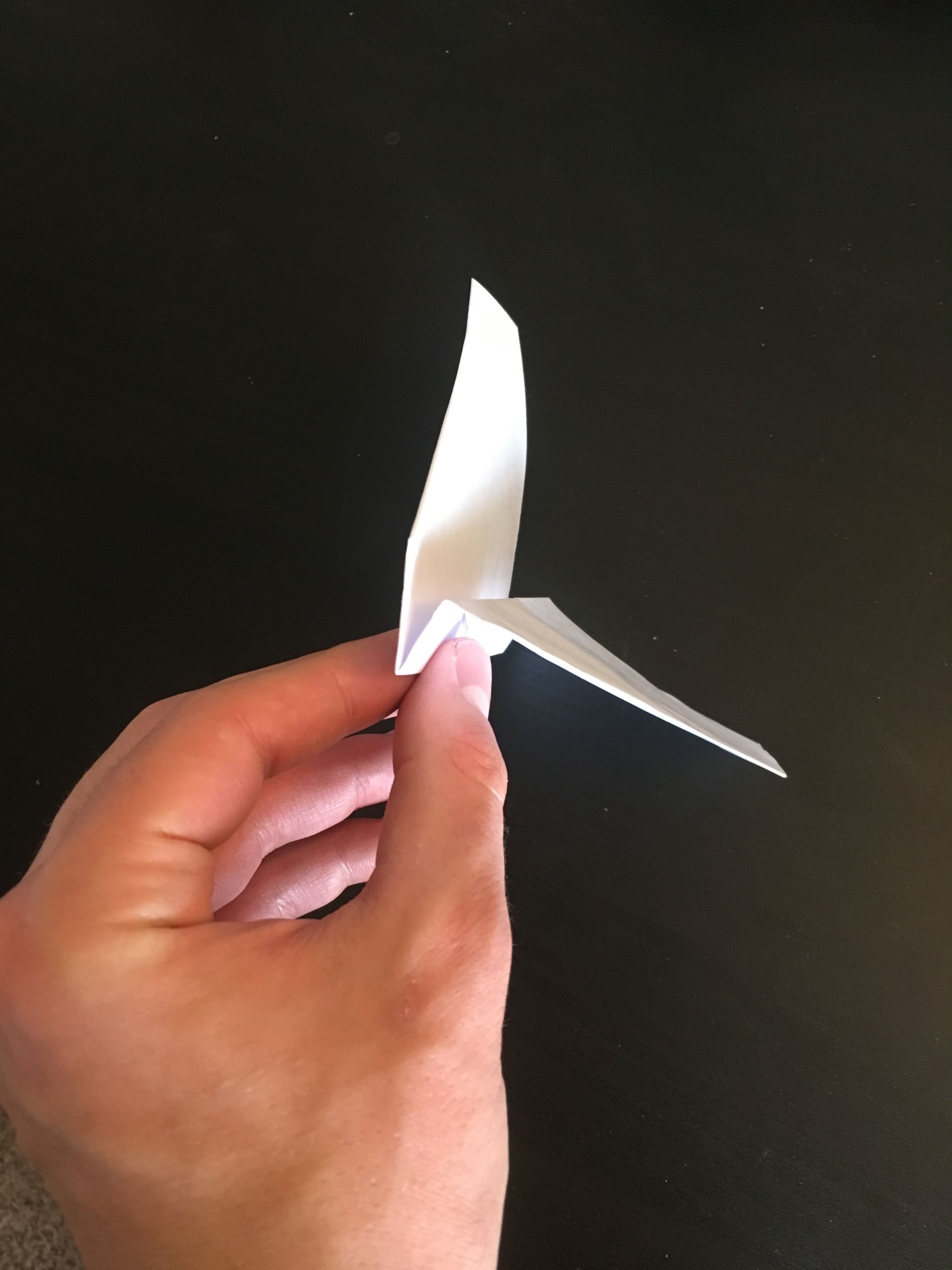 The Best Paper Airplane : 13 Steps (with Pictures) - Instructables