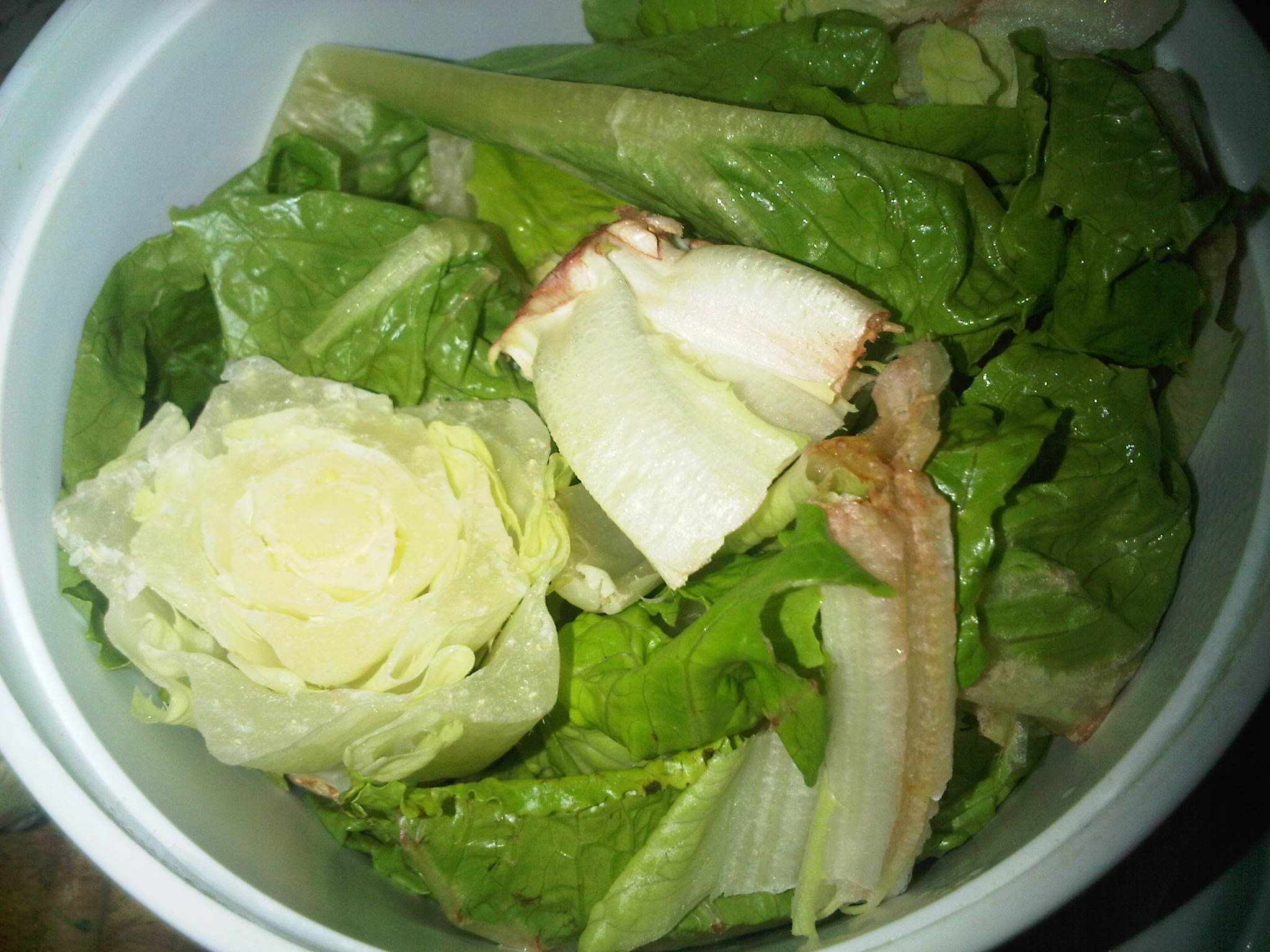 Making Vegetable Scrap Stock : 3 Steps - Instructables