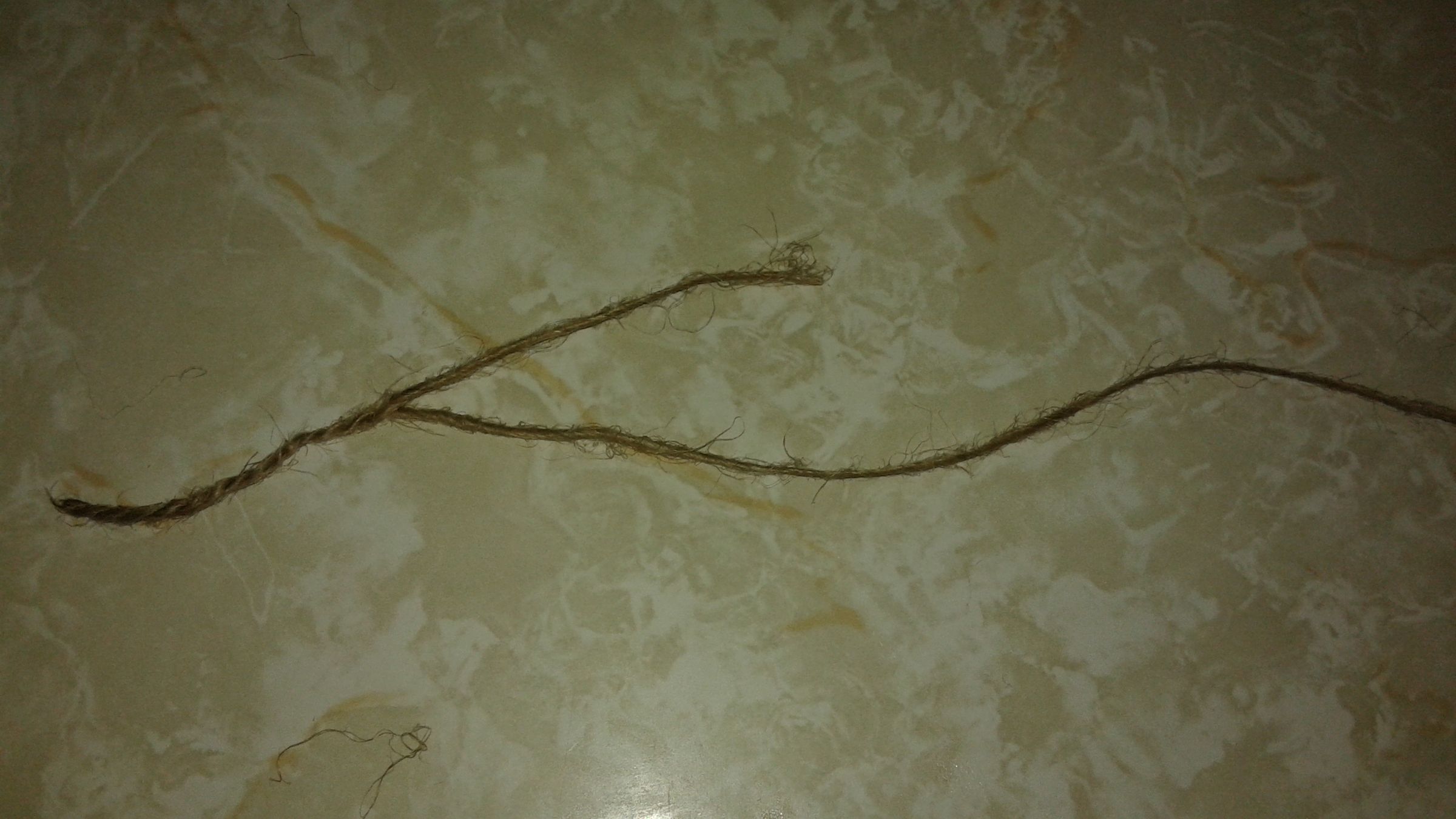 Plant Fiber Cordage : 4 Steps - Instructables