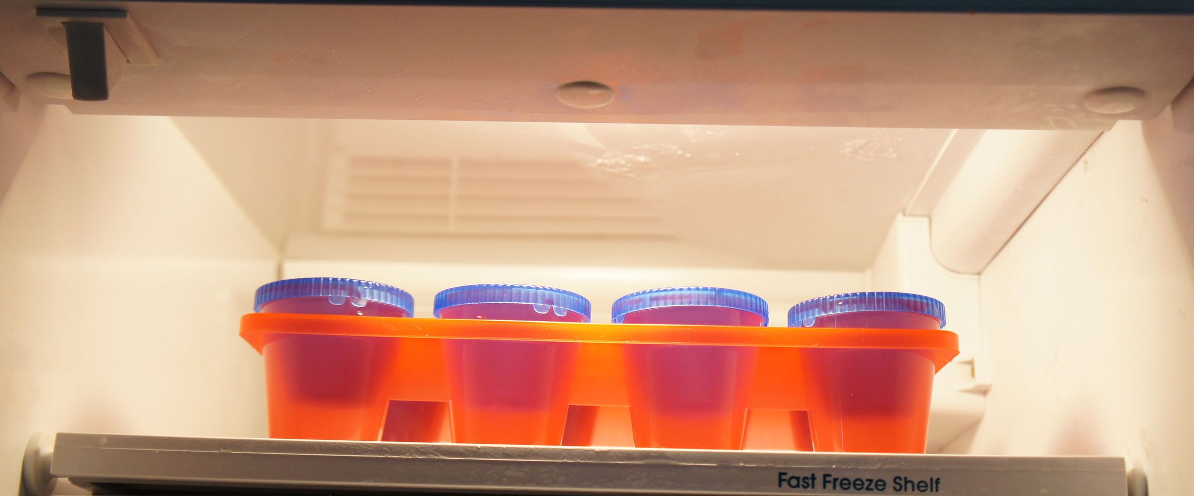 Ice Shot Glass Oyster Shooters (with Pictures) - Instructables