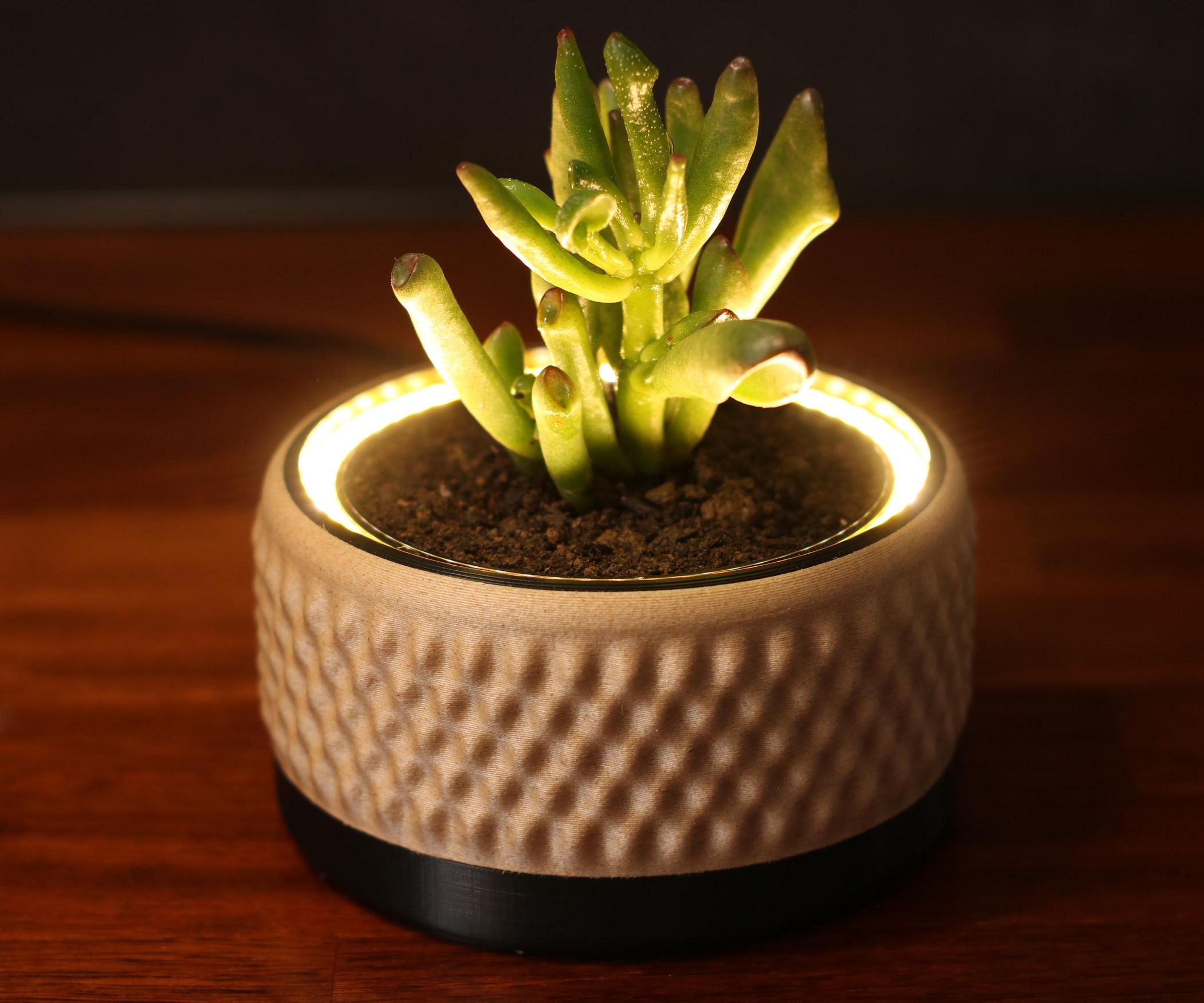 Lamp Planter : 4 Steps (with Pictures) - Instructables