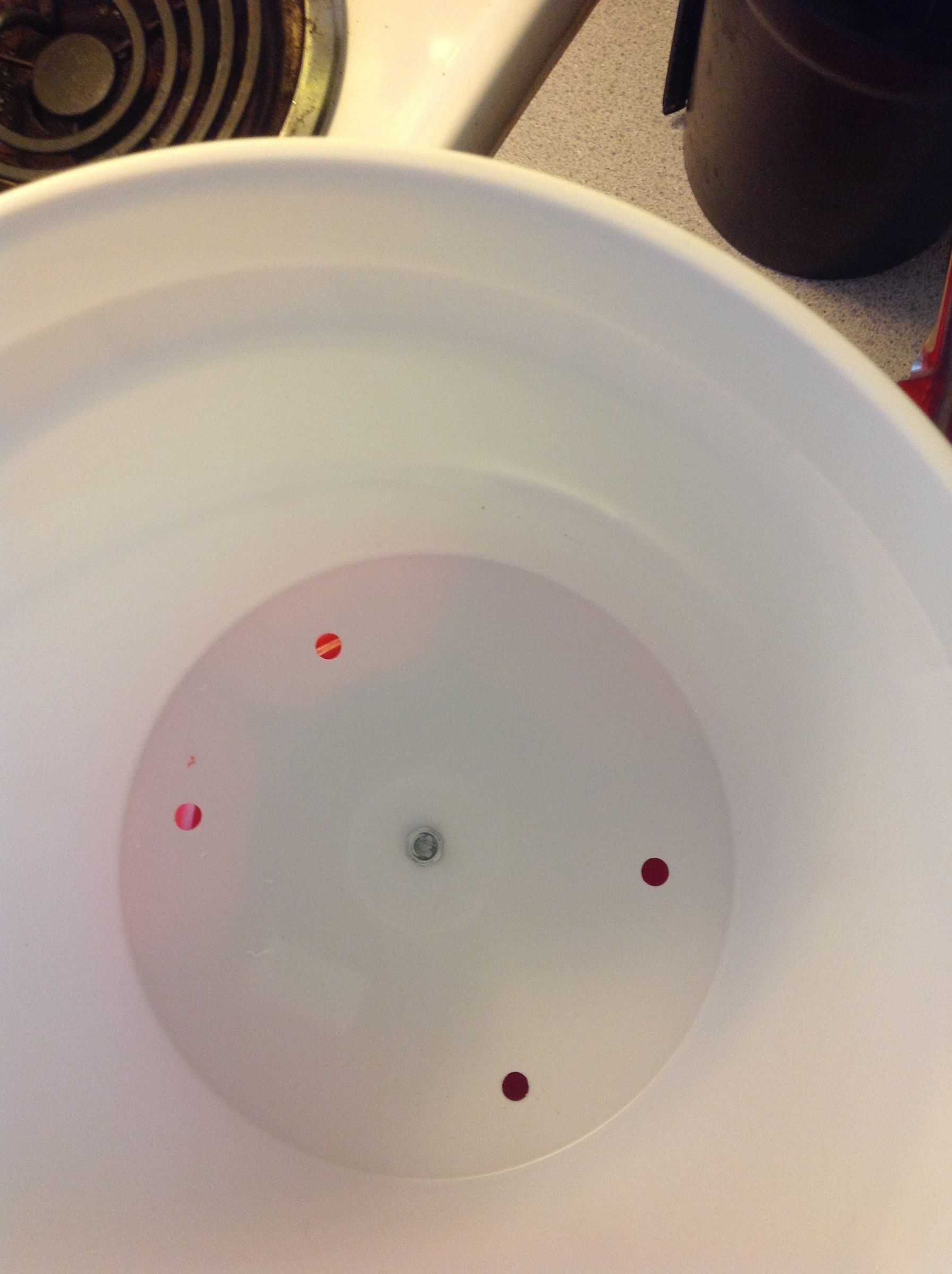 $6 Gravity Powered Auto Chicken Feeder : 5 Steps (with Pictures ...