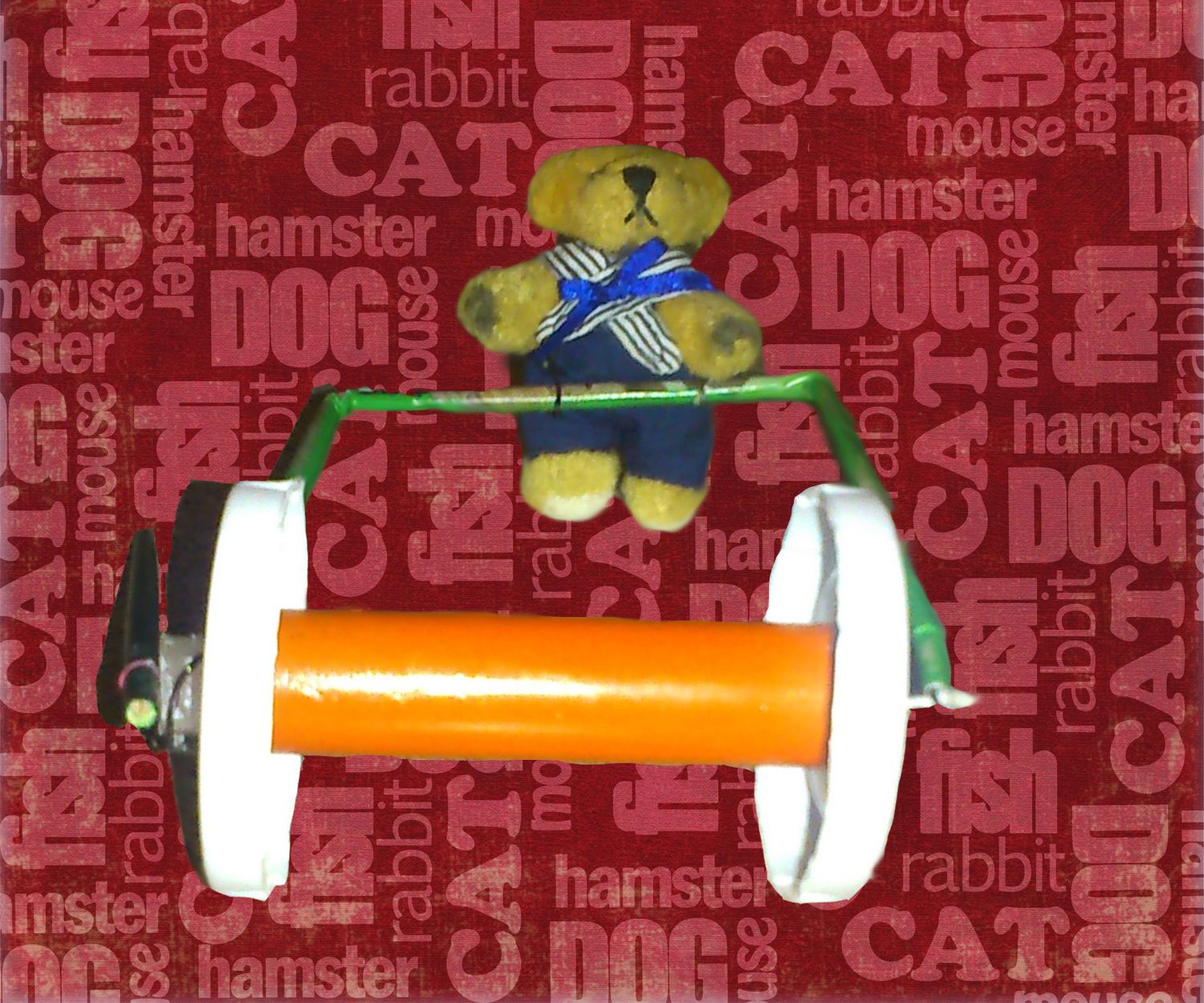 Wheel Toy : 6 Steps - Instructables