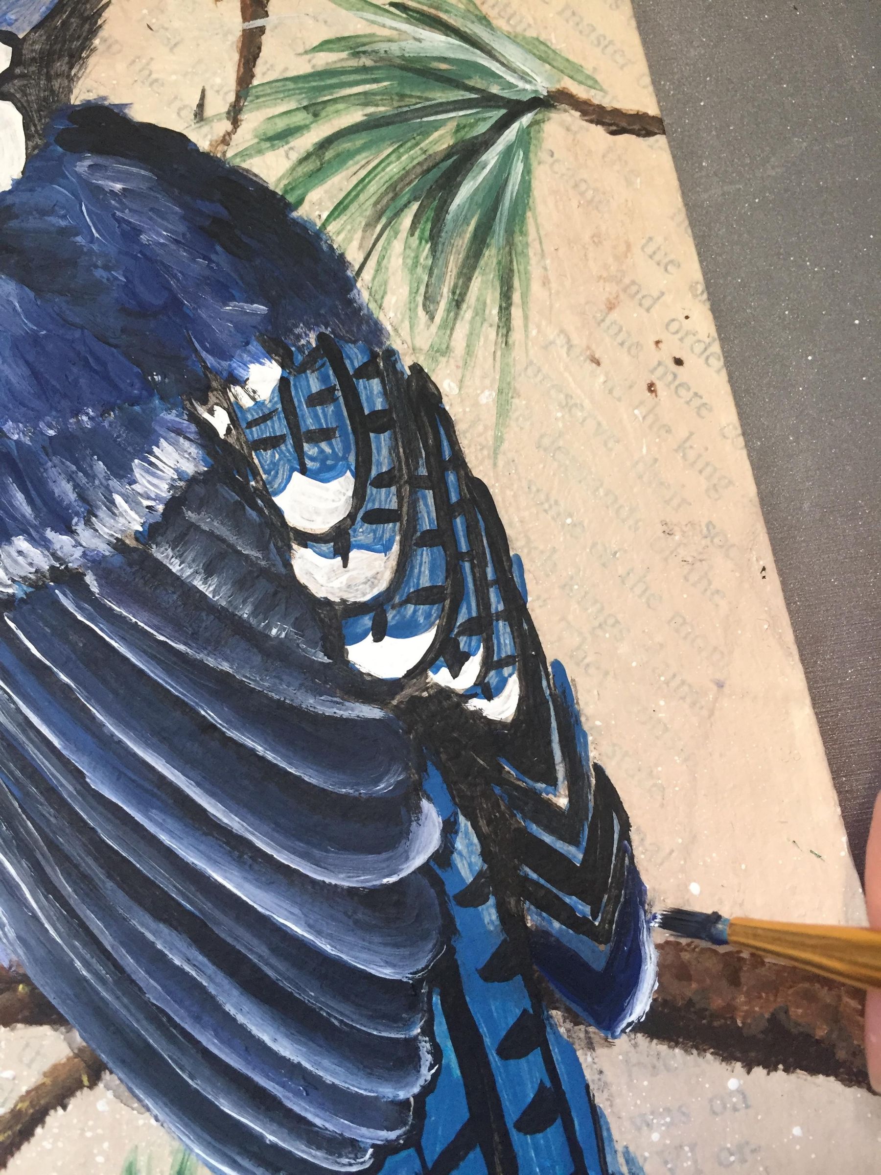 How to Paint a Blue Jay on a Branch. : 13 Steps (with Pictures ...