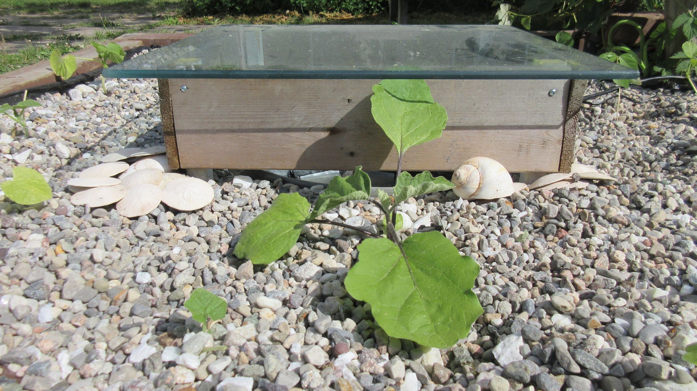 Going Down the Fish Pit : 8 Steps (with Pictures) - Instructables