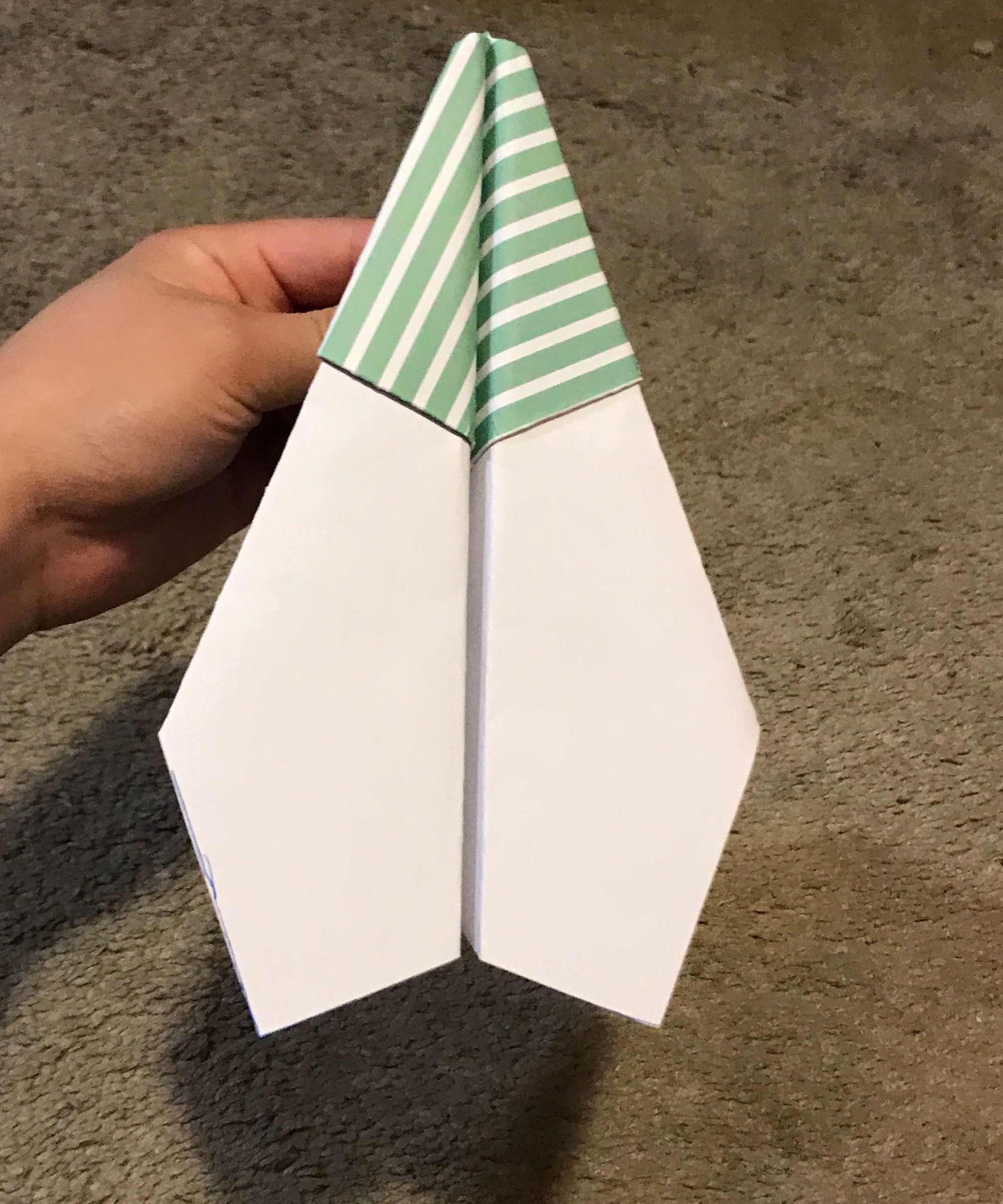 Can You Make Your Own Plane at Ebony Heritage blog