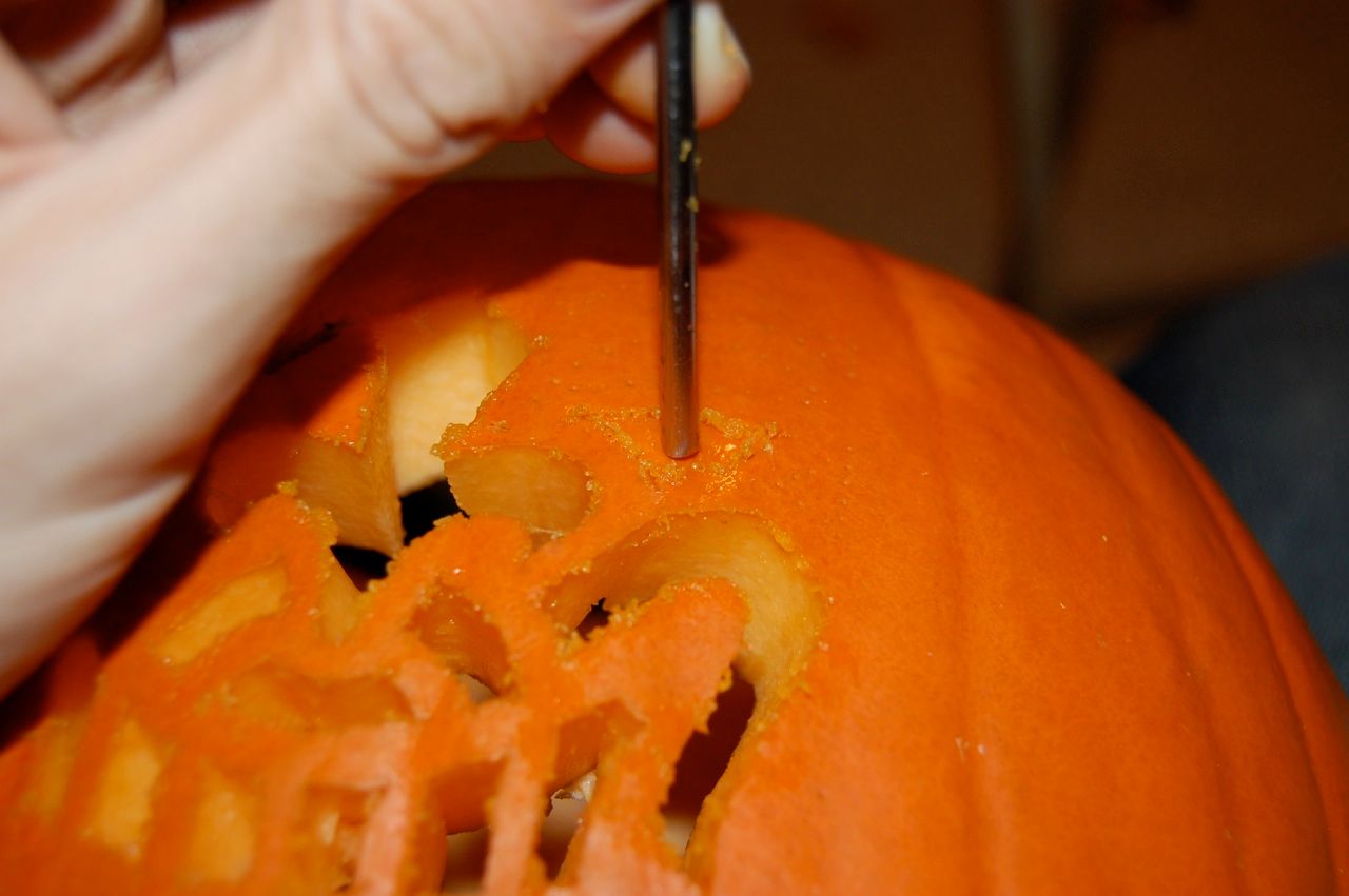 Precision Pumpkin Carving : 9 Steps (with Pictures) - Instructables