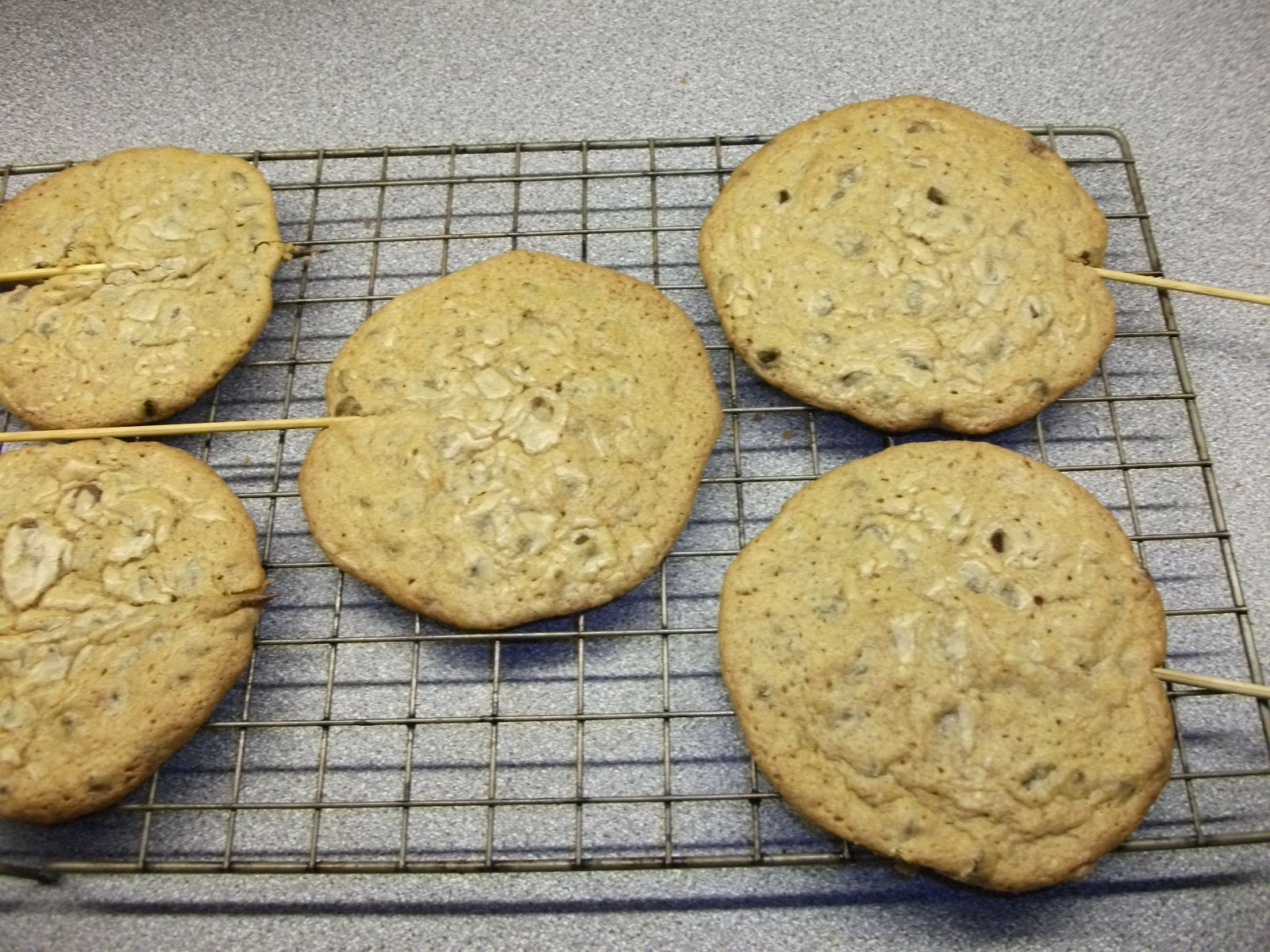 Chocolate Chip Stookies or Bis-sticks : 4 Steps - Instructables