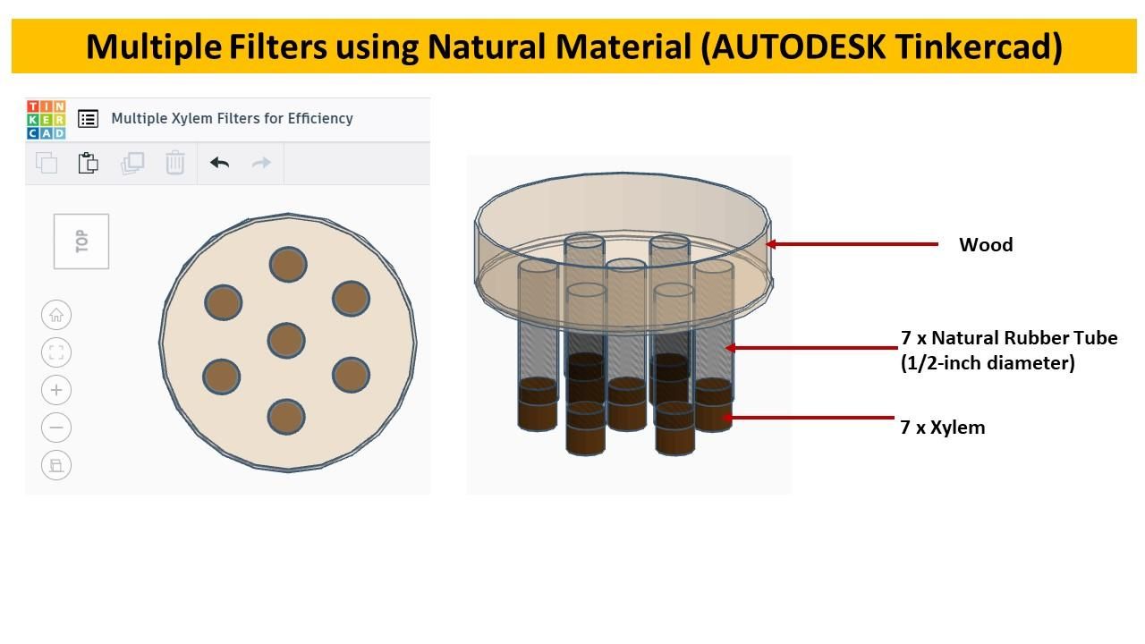 Unusual Use of Plant Xylem & Coconut Shell to Make Water Filter : 11 ...