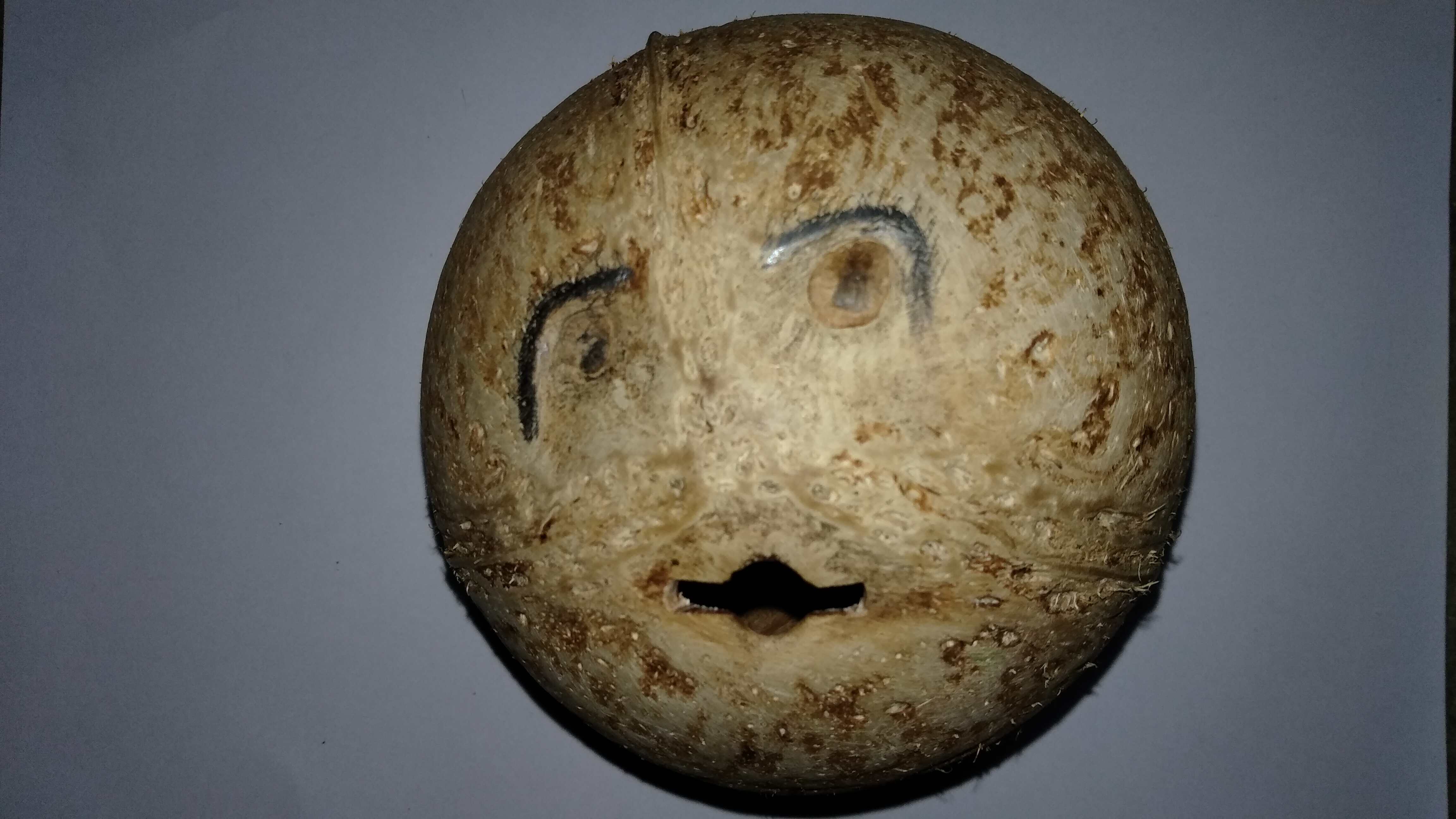 USEFUL THINGS USING COCONUT SHELL : 6 Steps - Instructables