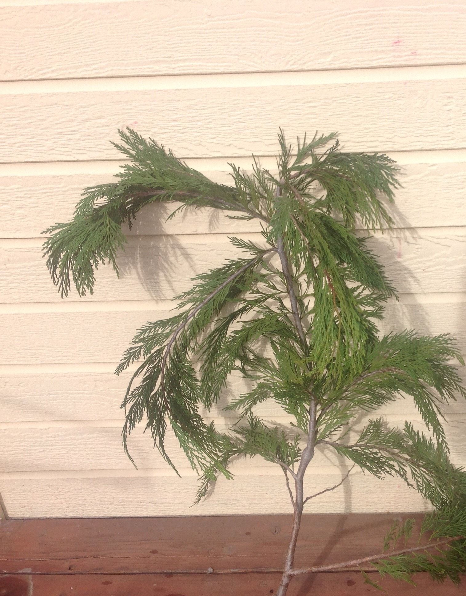 Charlie Brown Christmas Tree Homemade : 3 Steps (with Pictures ...