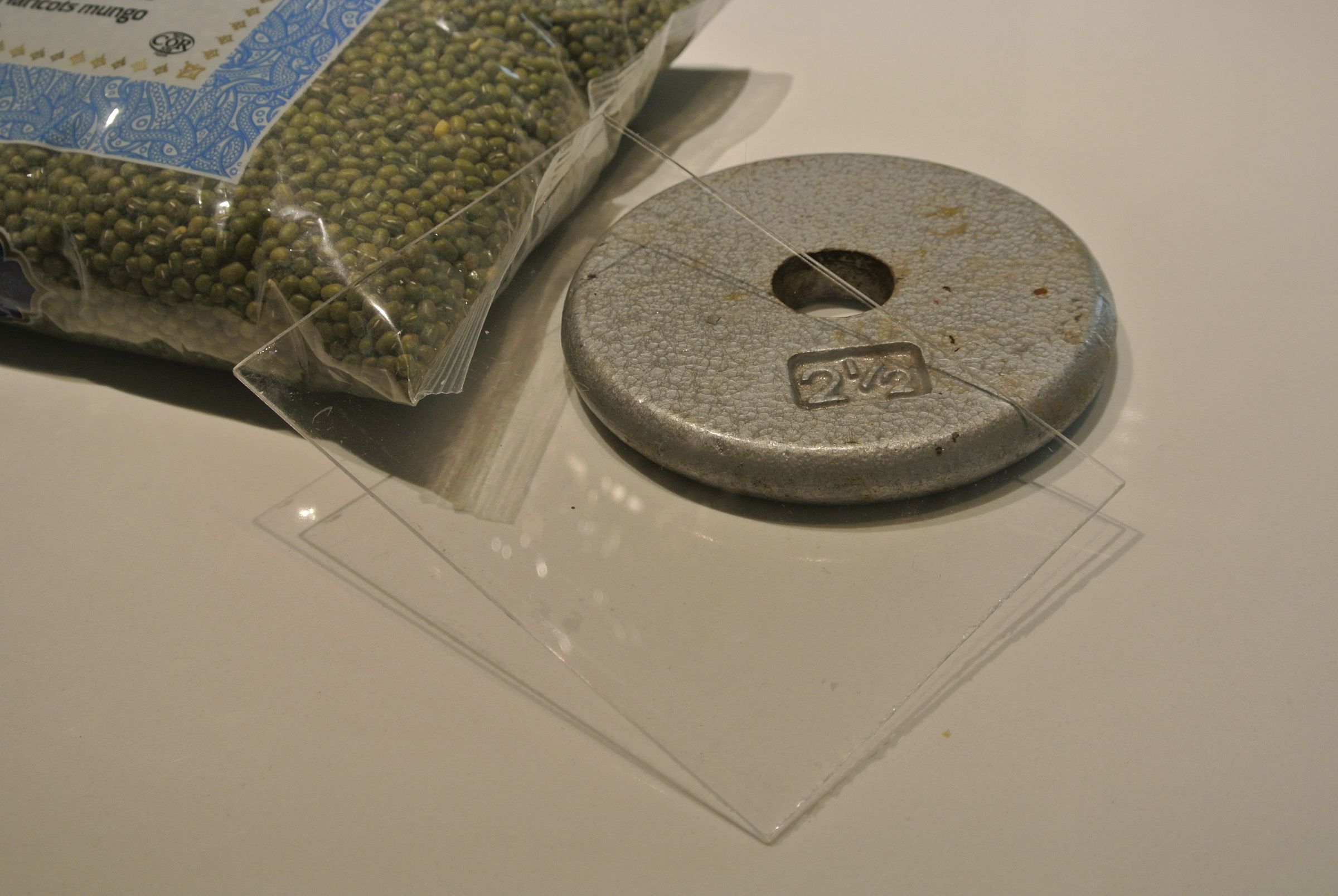 Growing Bean Sprouts : 7 Steps (with Pictures) - Instructables