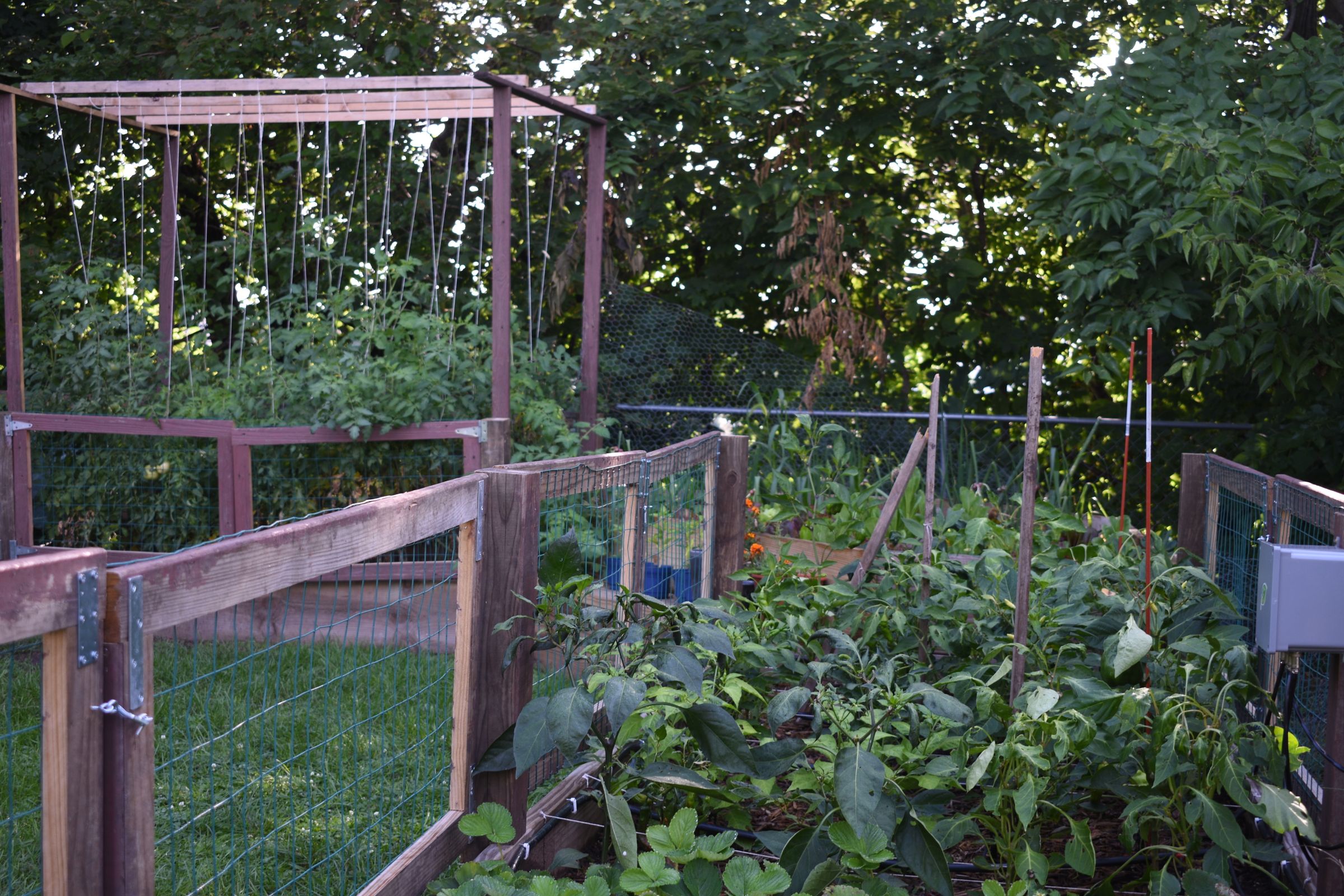 Automated Garden System Built on Raspberry Pi for Outdoors or Indoors ...