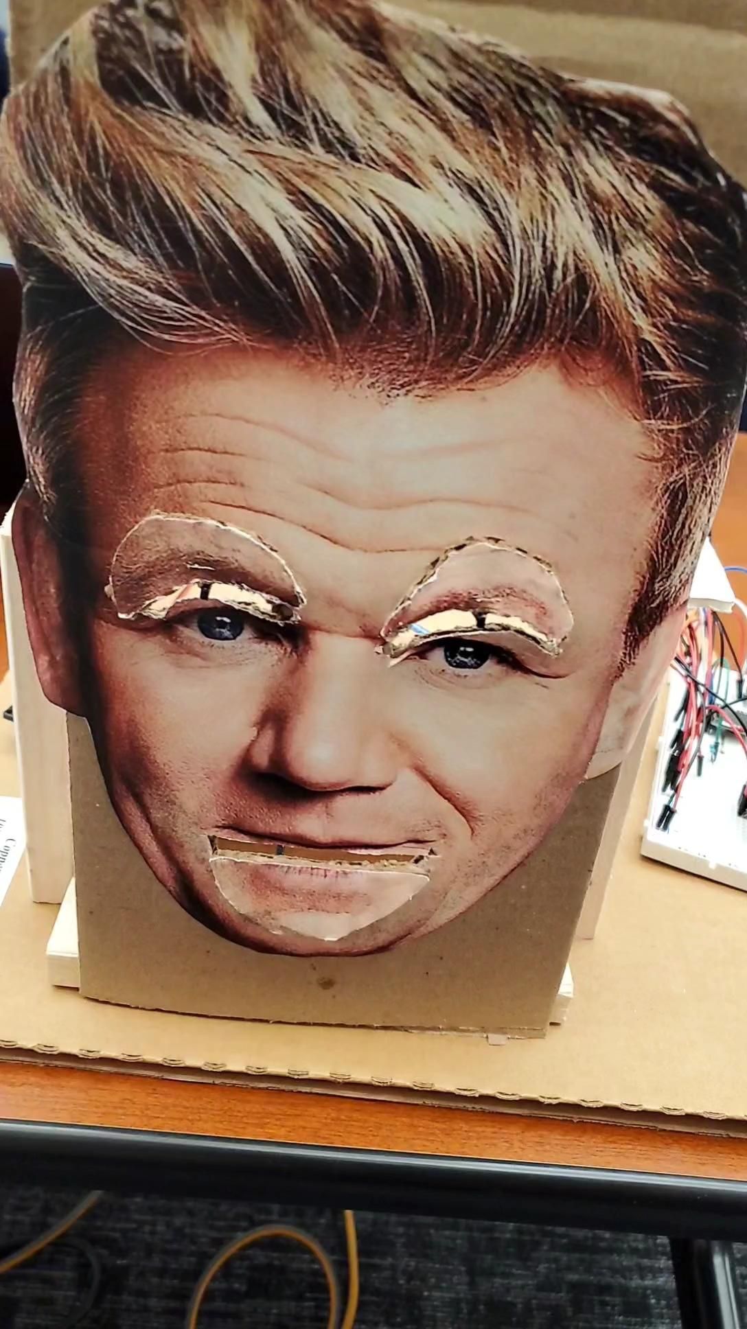 Gordon Ramsay Mechatronics Face : 8 Steps - Instructables