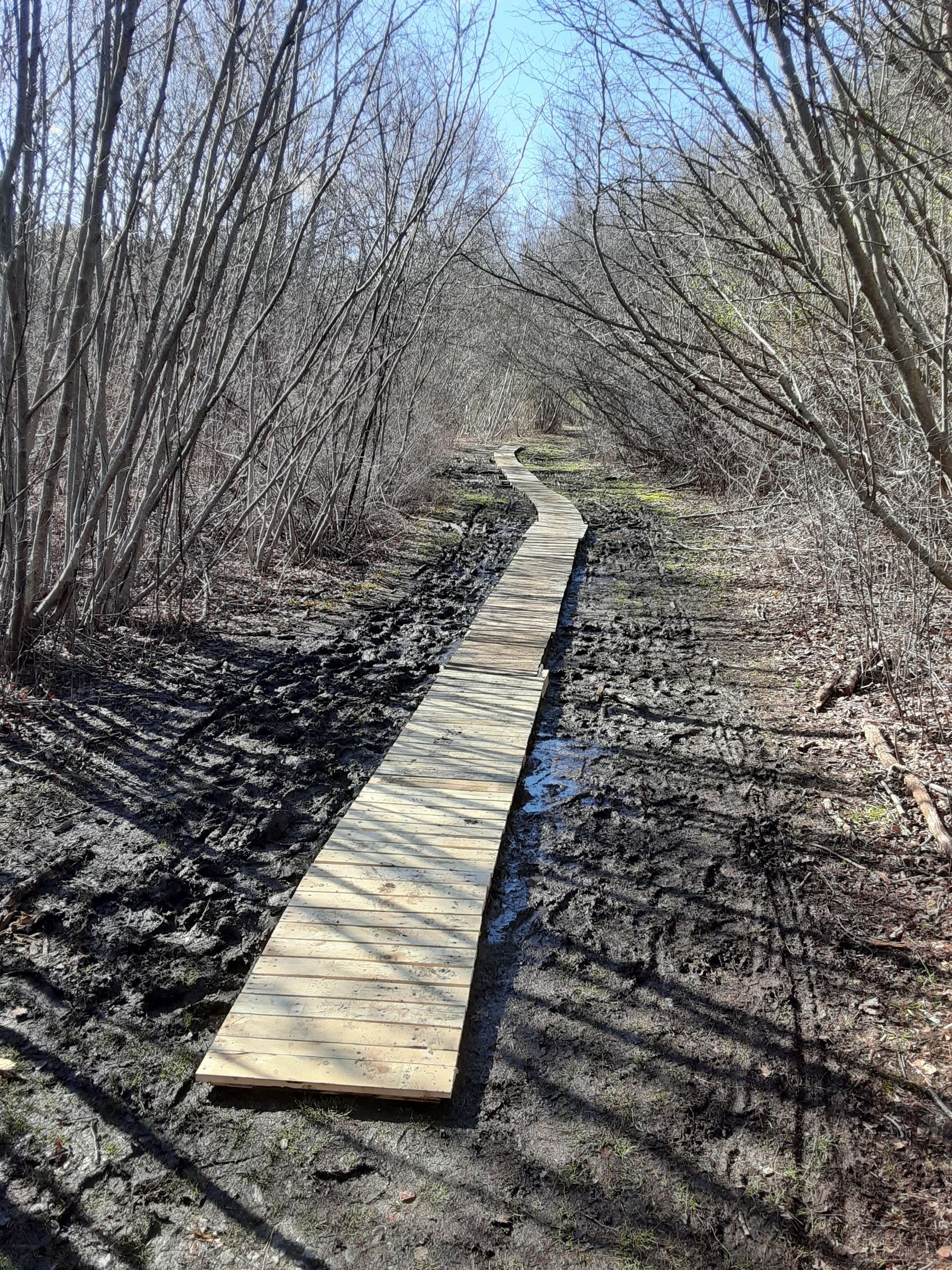 Upcycled Nature Board Walk : 6 Steps (with Pictures) - Instructables
