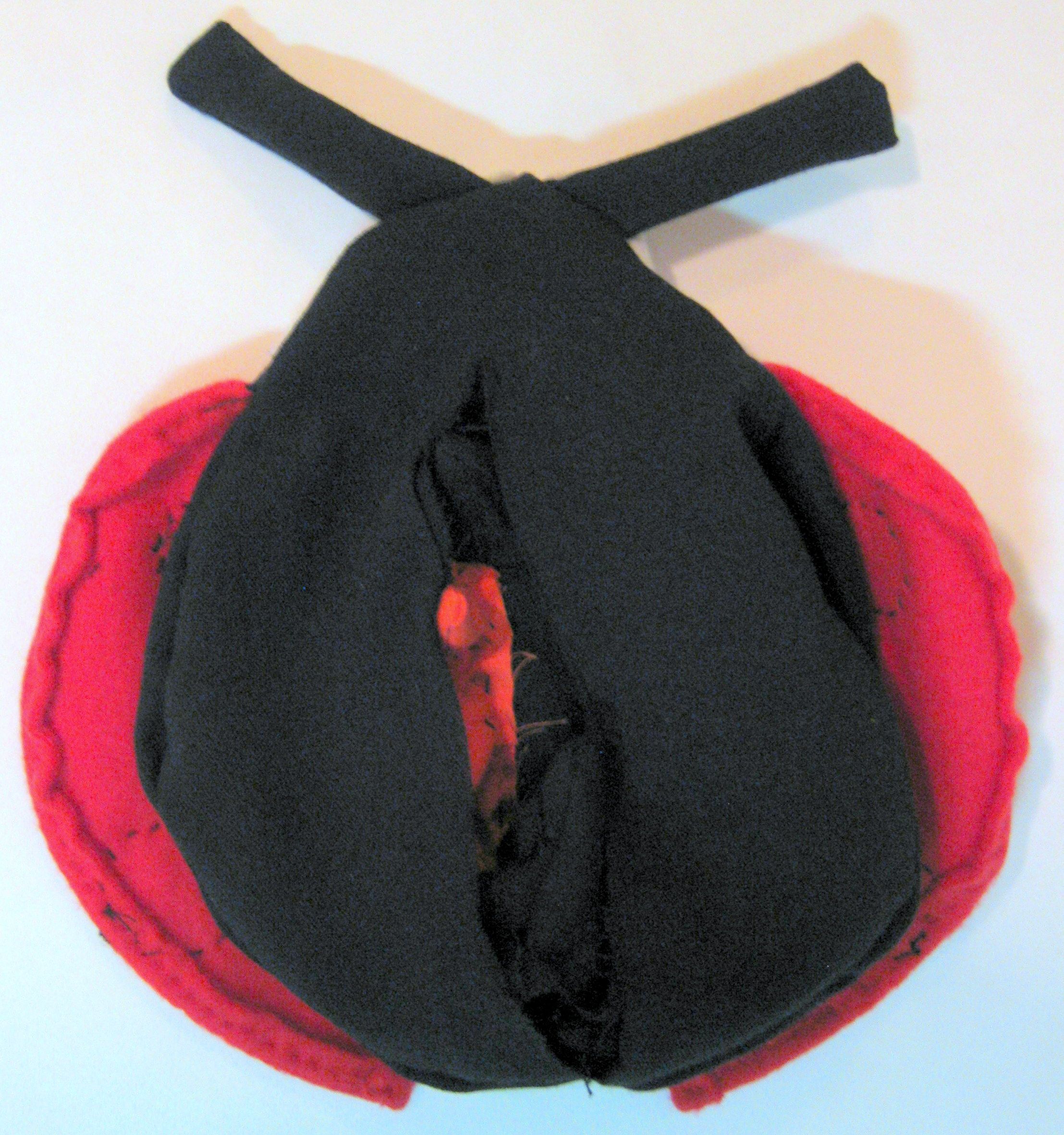 Reversible Ladybug Heat Bag That Glows : 12 Steps (with Pictures ...