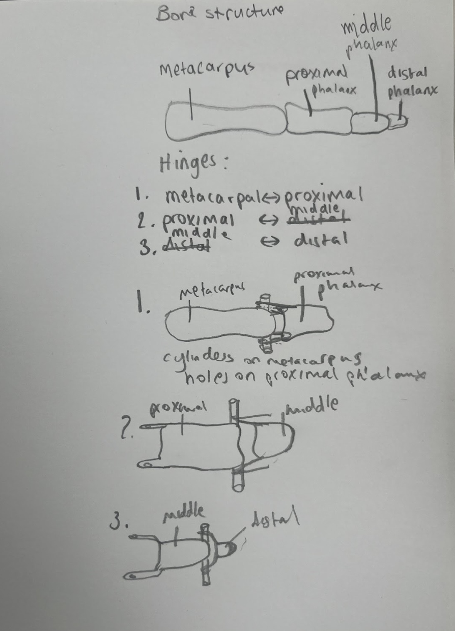 Fusion 360: Animated Prosthetic Hand for Beginners : 7 Steps ...