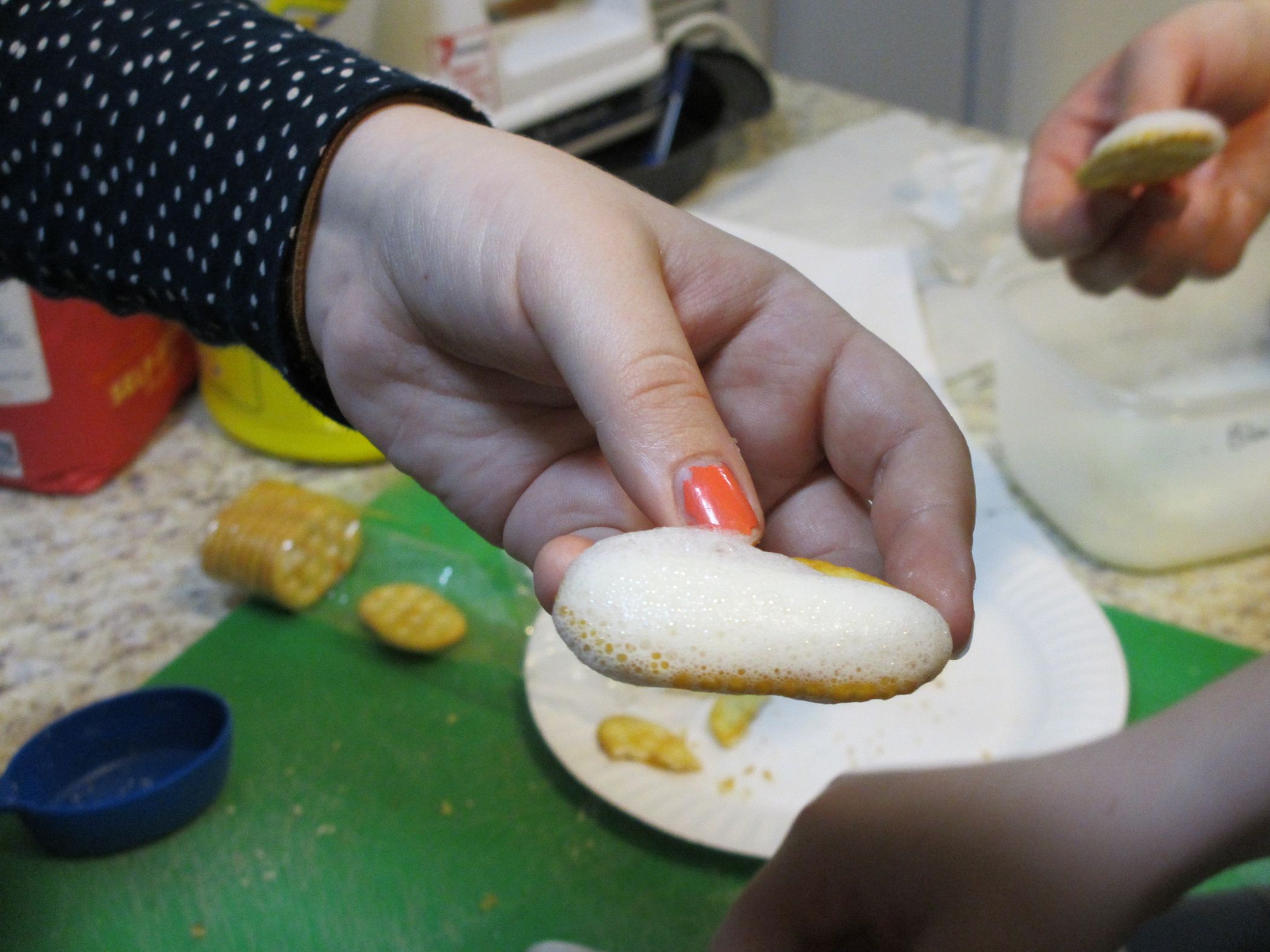 Parmesan Foam : 6 Steps (with Pictures) - Instructables