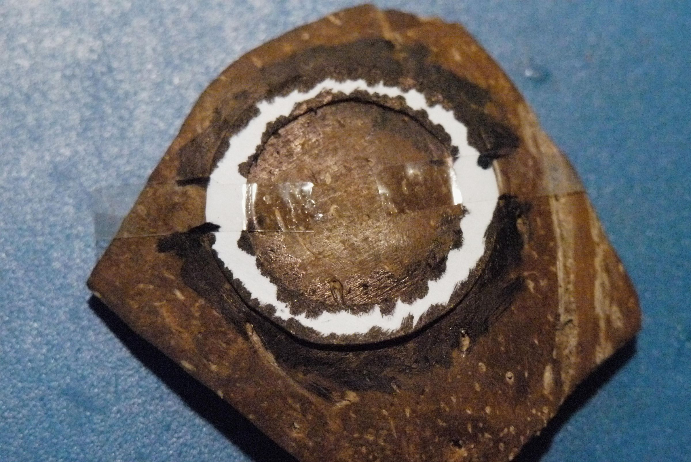 Coconut Ring : 4 Steps (with Pictures) - Instructables