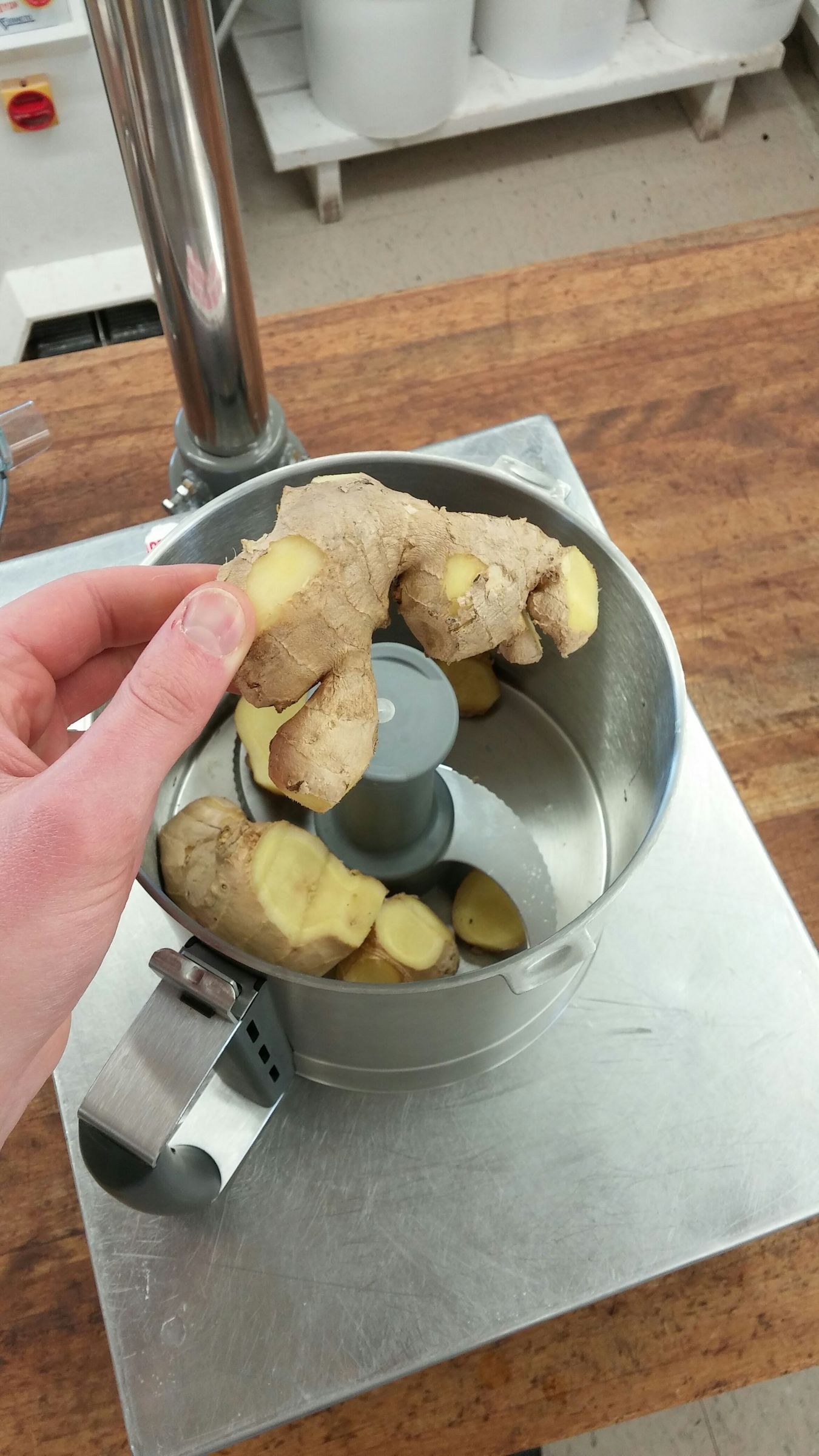 Ginger Cream Ale : 7 Steps (with Pictures) - Instructables