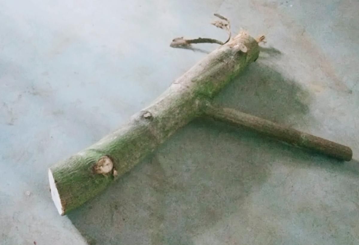 Tree LOG Lamp | Study Lamp : 16 Steps (with Pictures) - Instructables