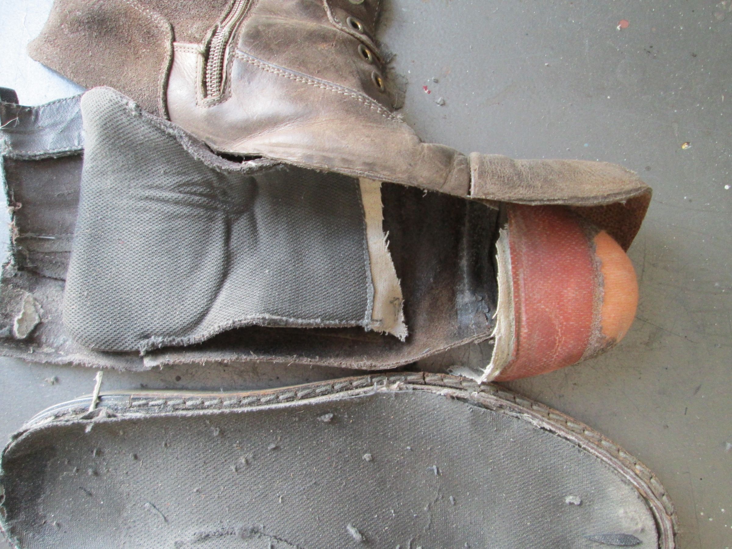 Schubert the Shoe Bird : 8 Steps - Instructables