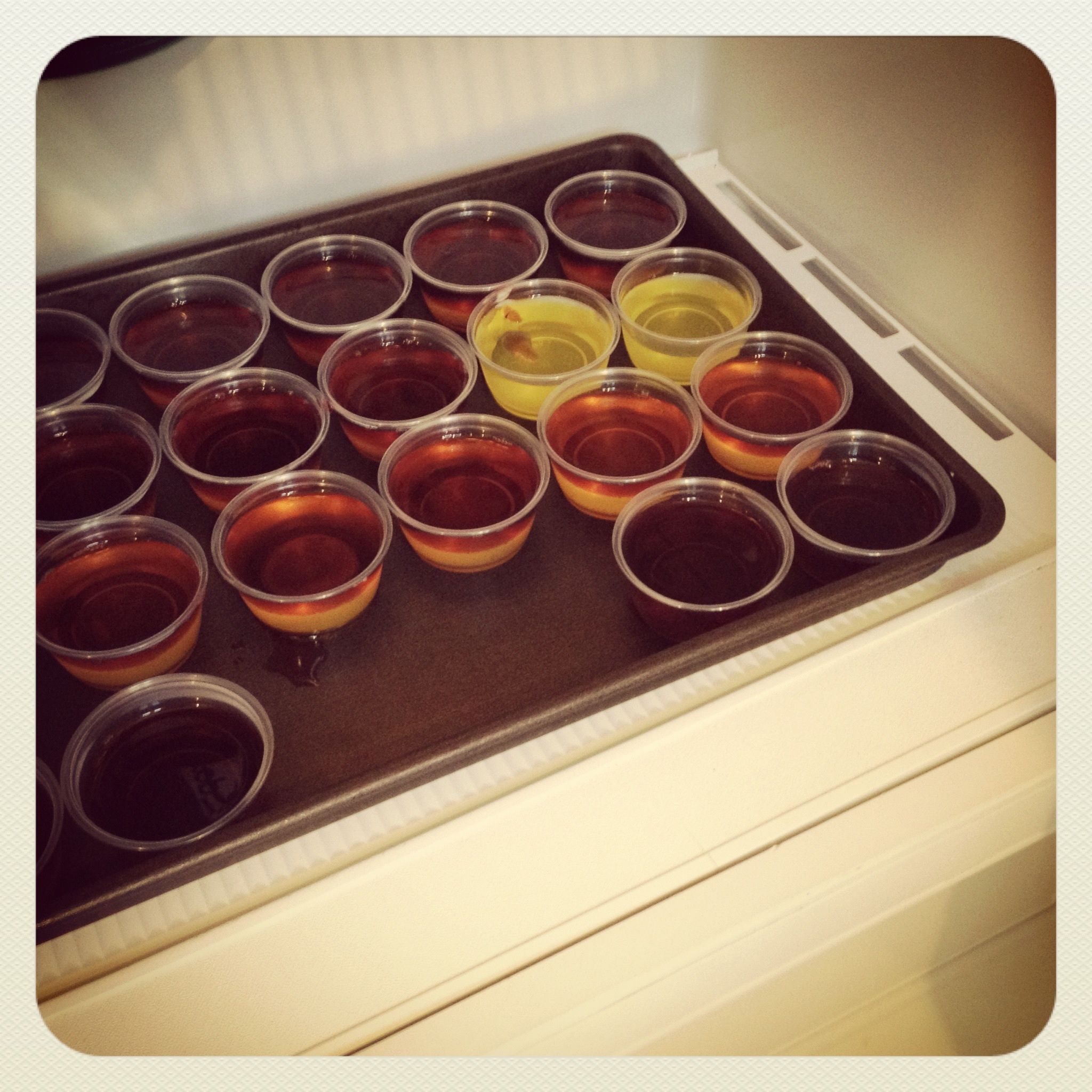 Layered Jello Shots - Caribbean Gold : 4 Steps (with Pictures ...