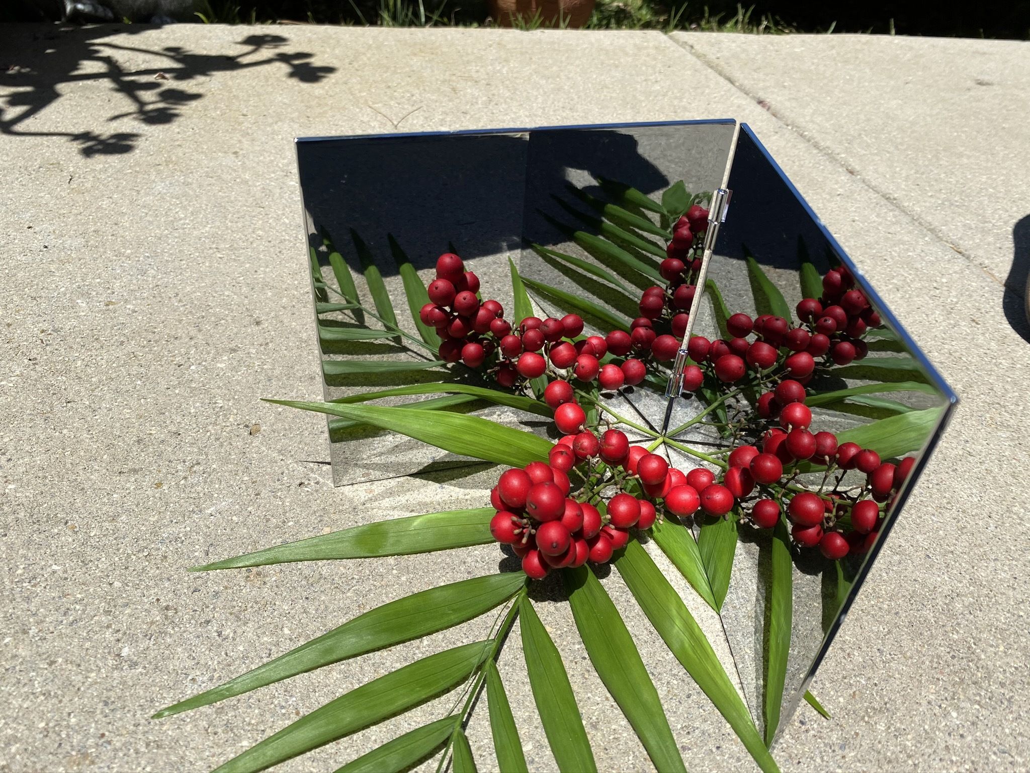 Plant Prisms & Cardboard Kaleidoscope : 6 Steps (with Pictures ...