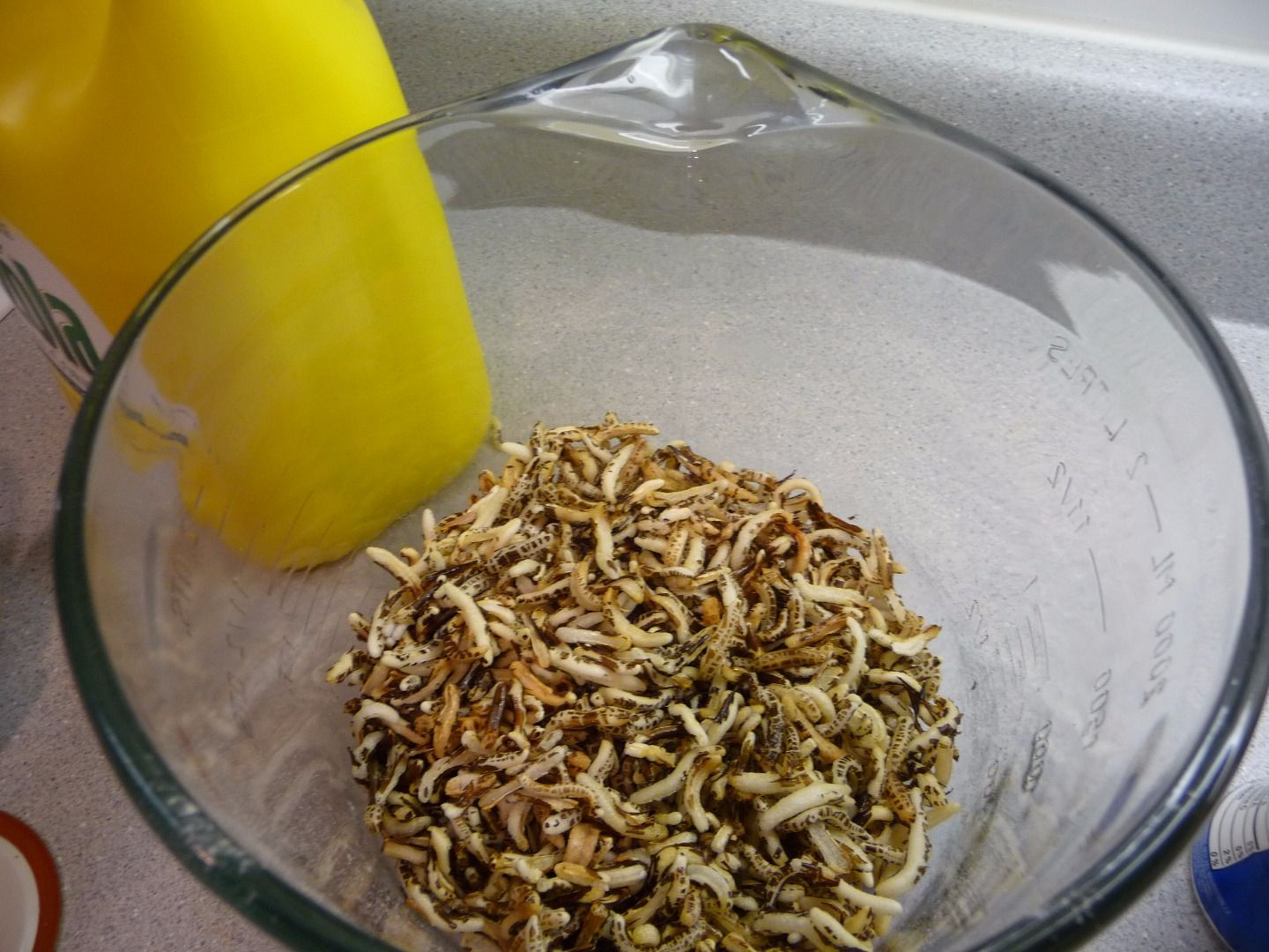 Tasty Homemade Popped Wild Rice : 3 Steps (with Pictures) - Instructables
