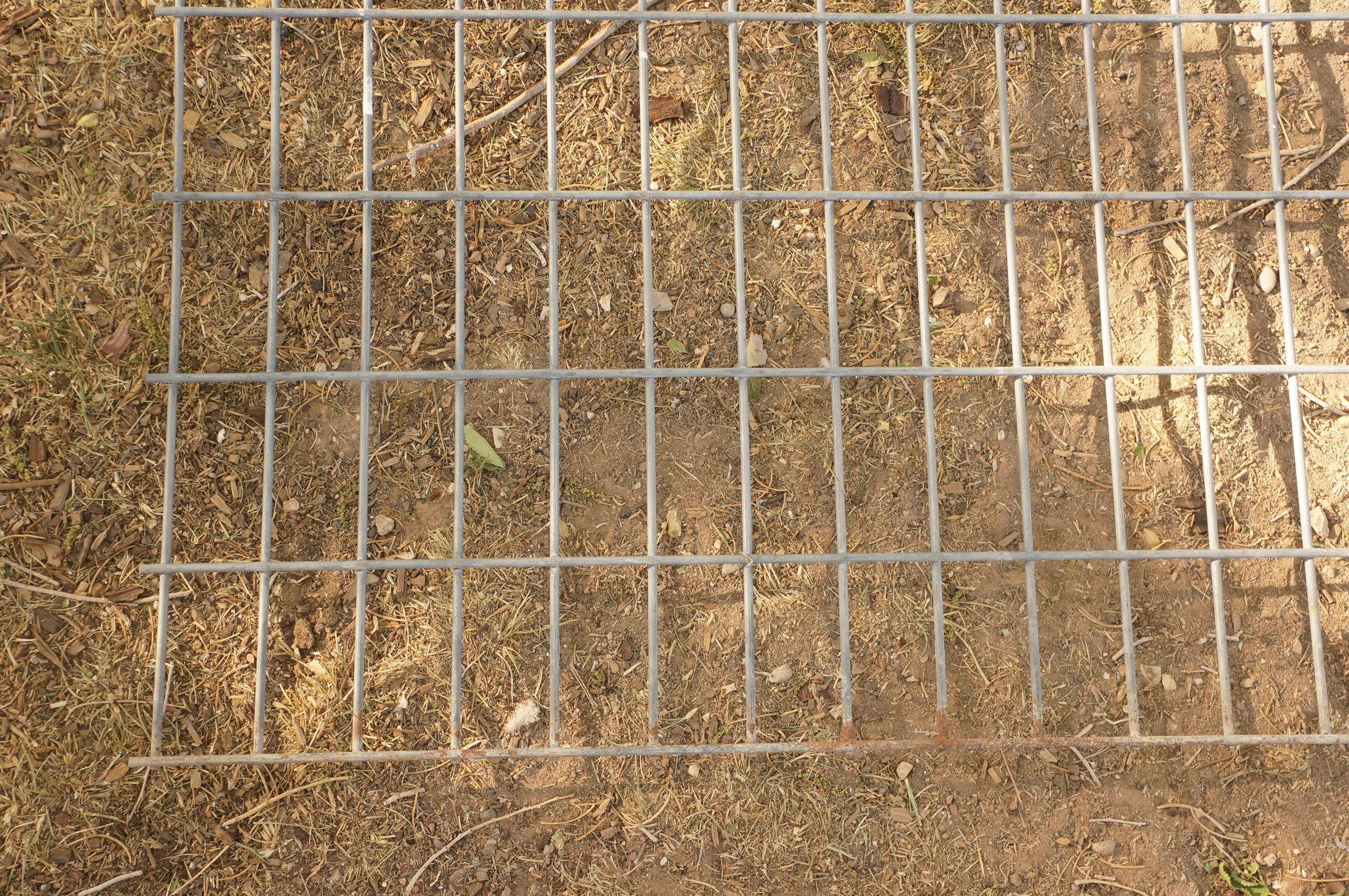 Cheap Easy Dog Run to Build : 6 Steps - Instructables