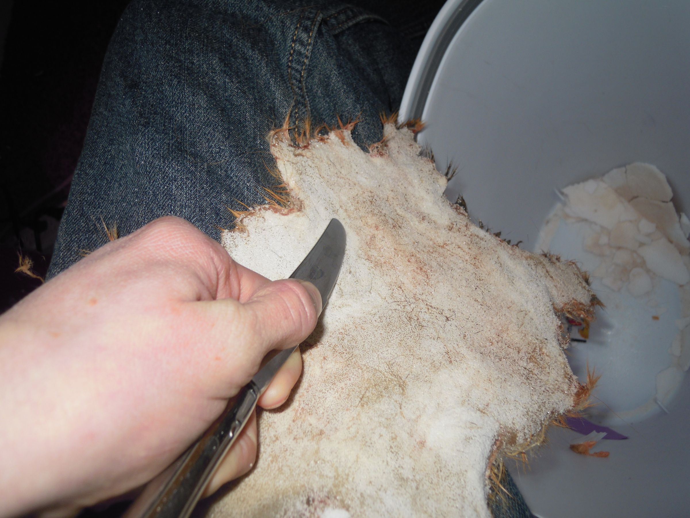 Roadkill Huntin' : 4 Steps - Instructables