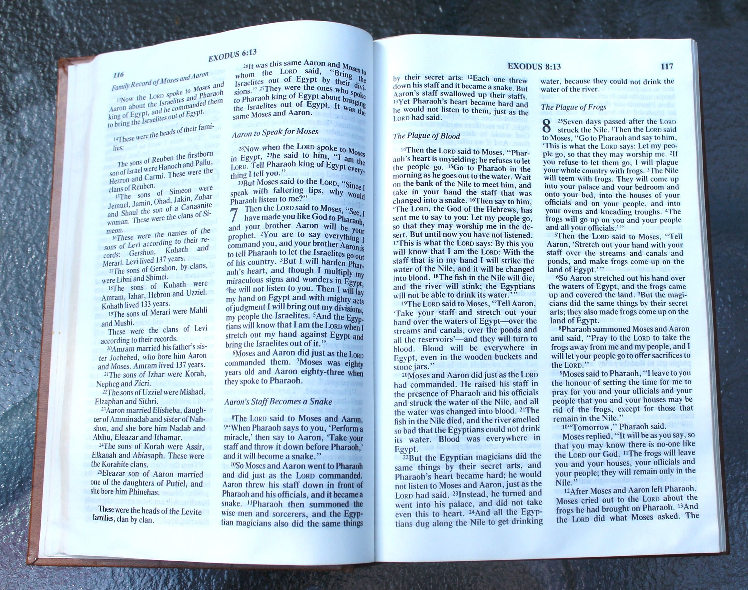 Secret Bible Compartment. : 4 Steps - Instructables