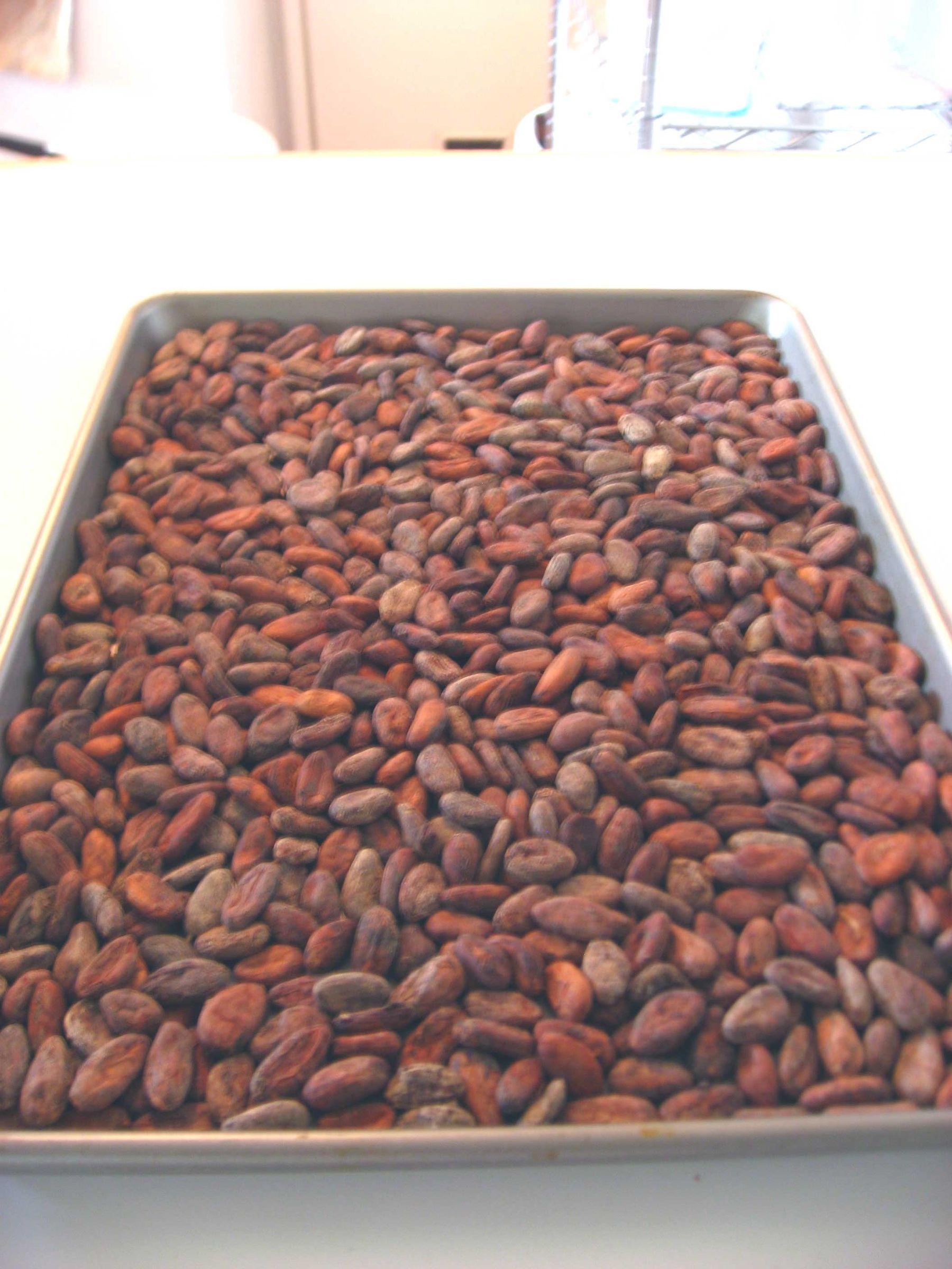 From Bean to Bar: Dark Chocolate From Scratch : 5 Steps (with Pictures ...