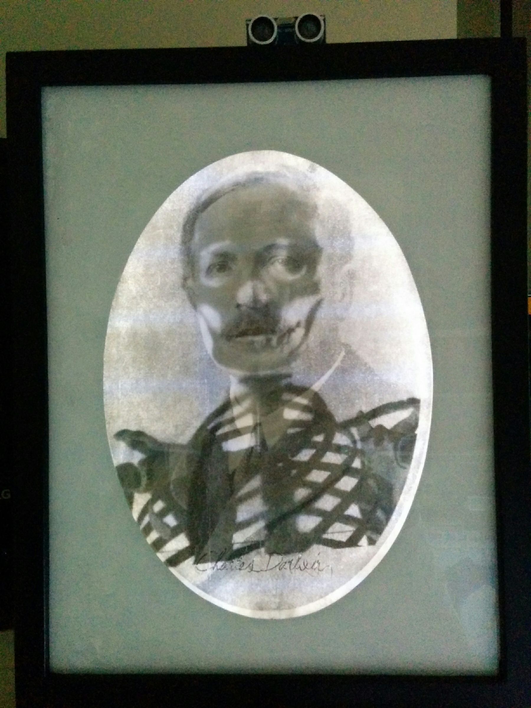Haunted Portrait for Less Than $20 : 10 Steps (with Pictures ...