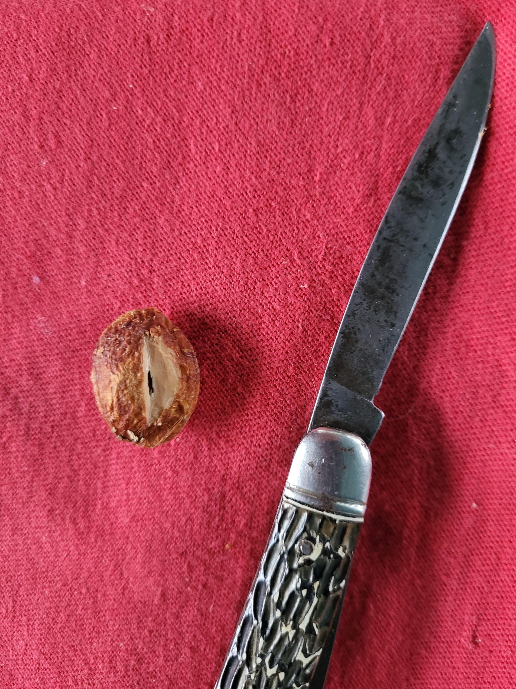 Plum Pit Carving : 3 Steps - Instructables