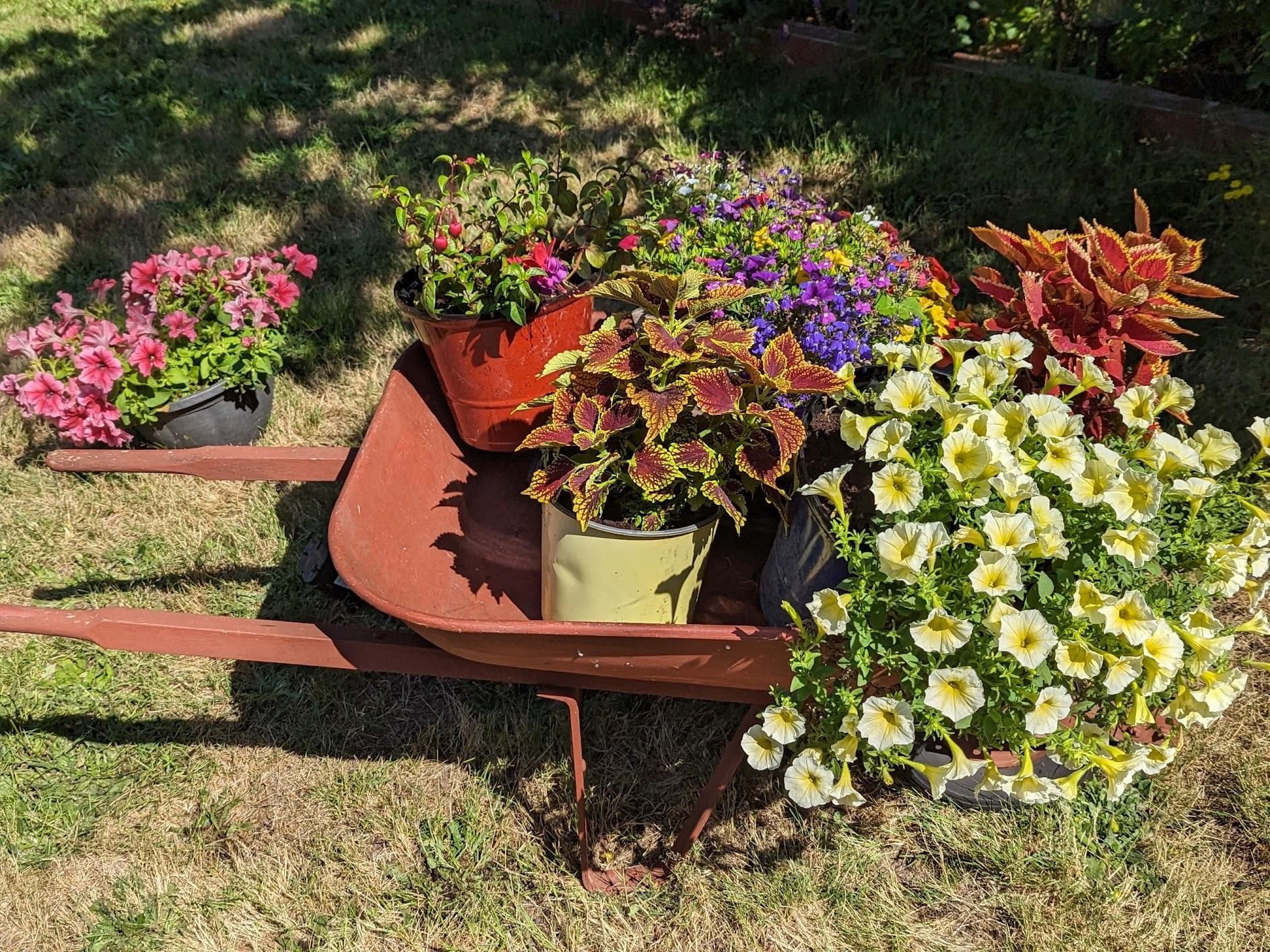 Wheelbarrow Planter : 5 Steps (with Pictures) - Instructables