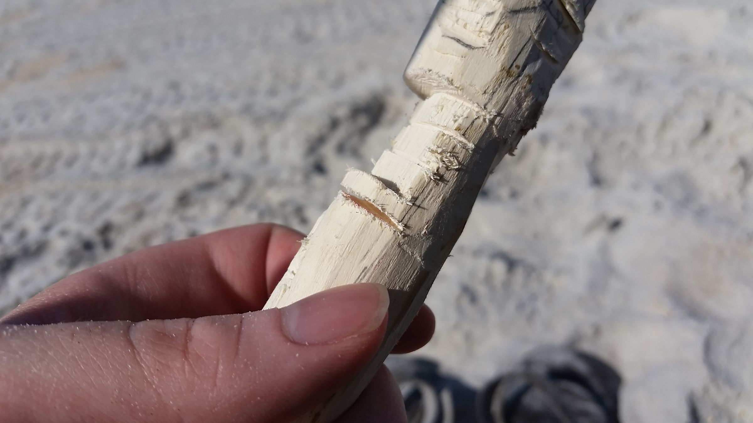 Simple Atlatl : 5 Steps (with Pictures) - Instructables