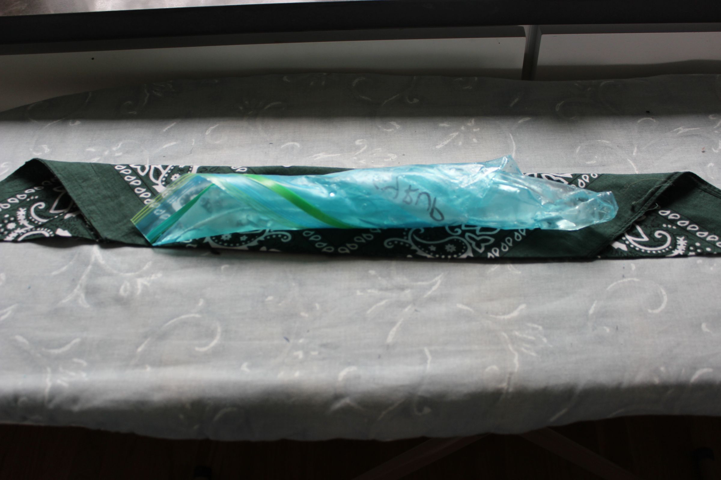 Dog (Or Human) Bandanna Ice Pack : 10 Steps (with Pictures) - Instructables