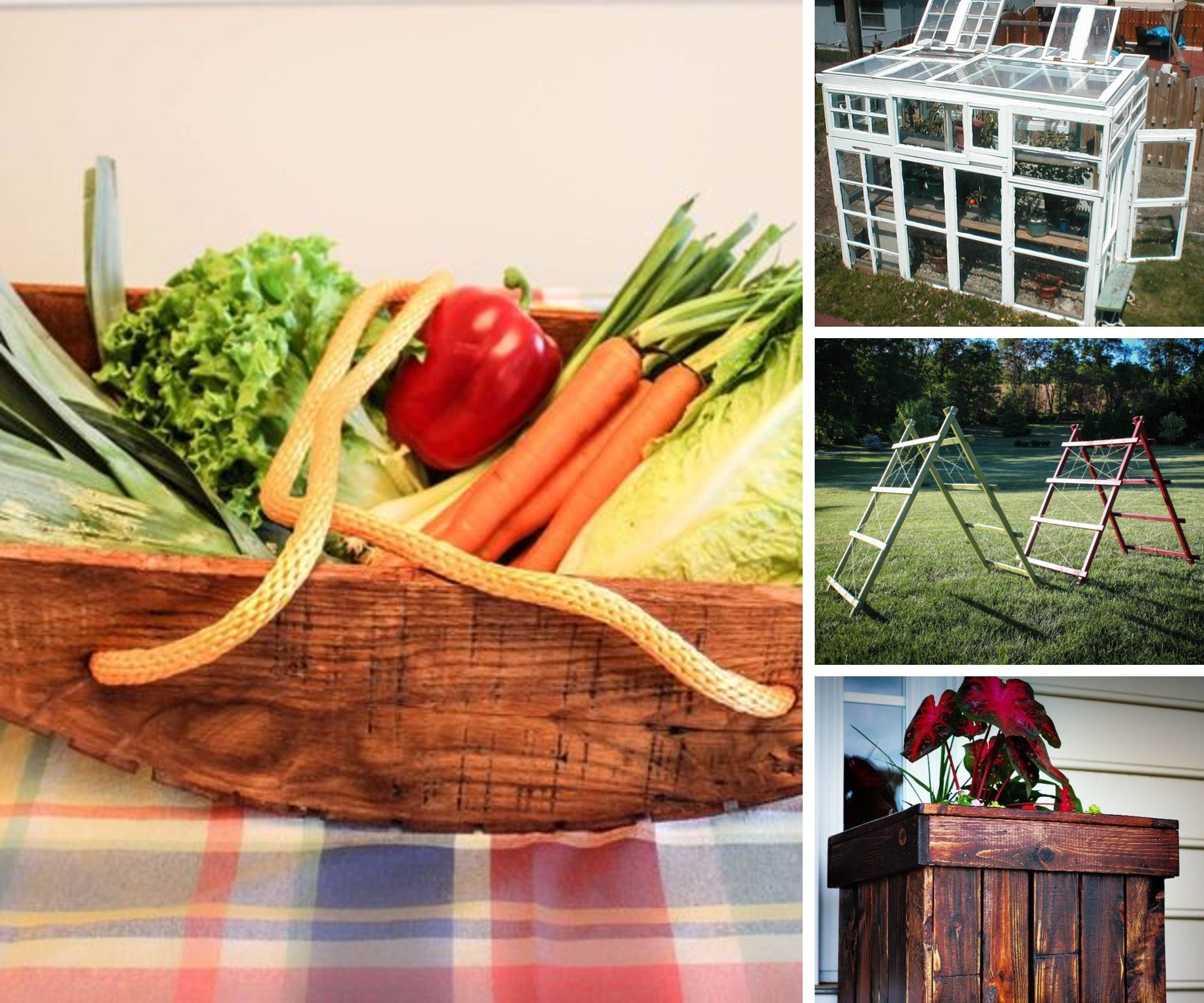 Garden Projects - Instructables