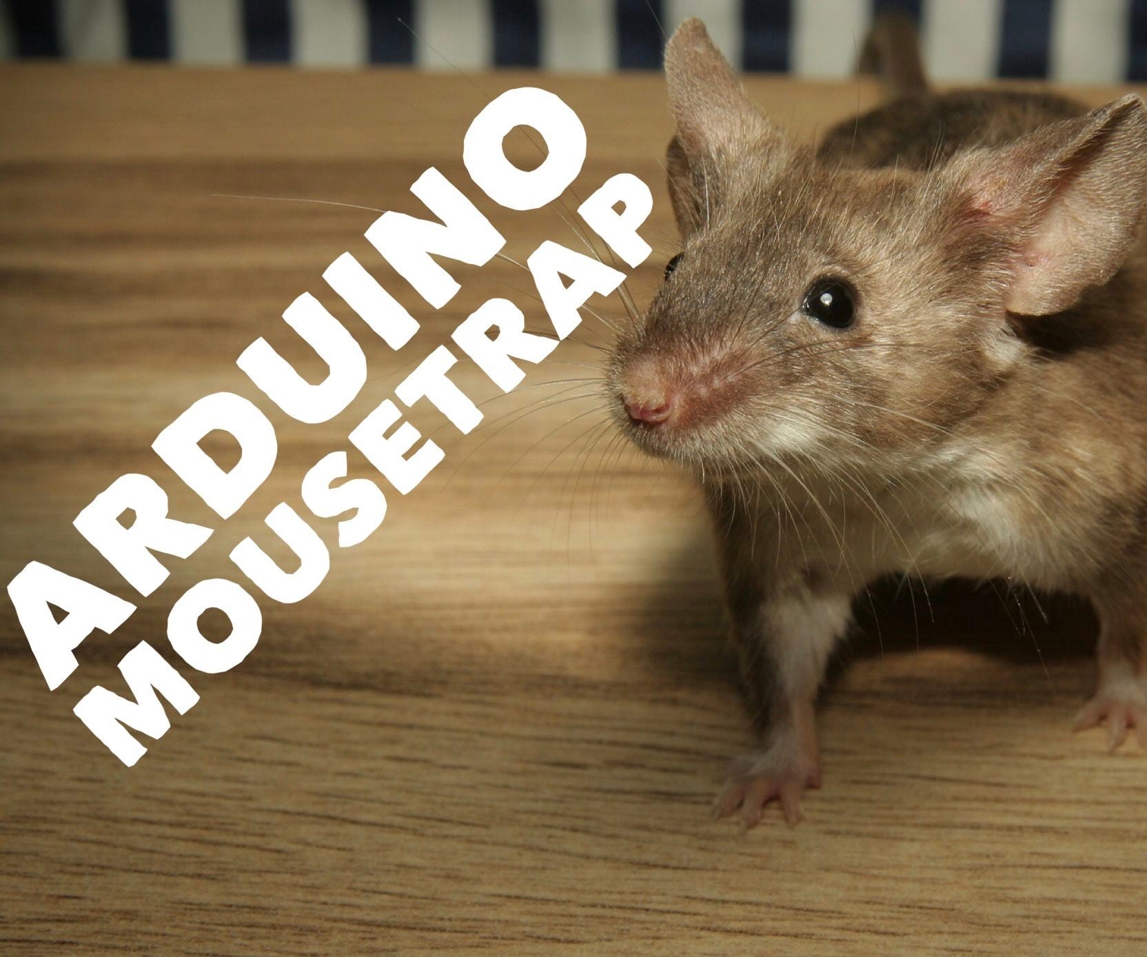 Arduino Mousetrap : 5 Steps - Instructables