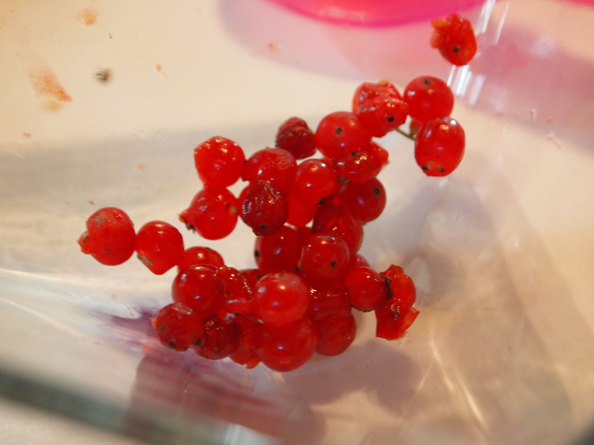 Paint Made From Berries & Nature : 4 Steps (with Pictures) - Instructables