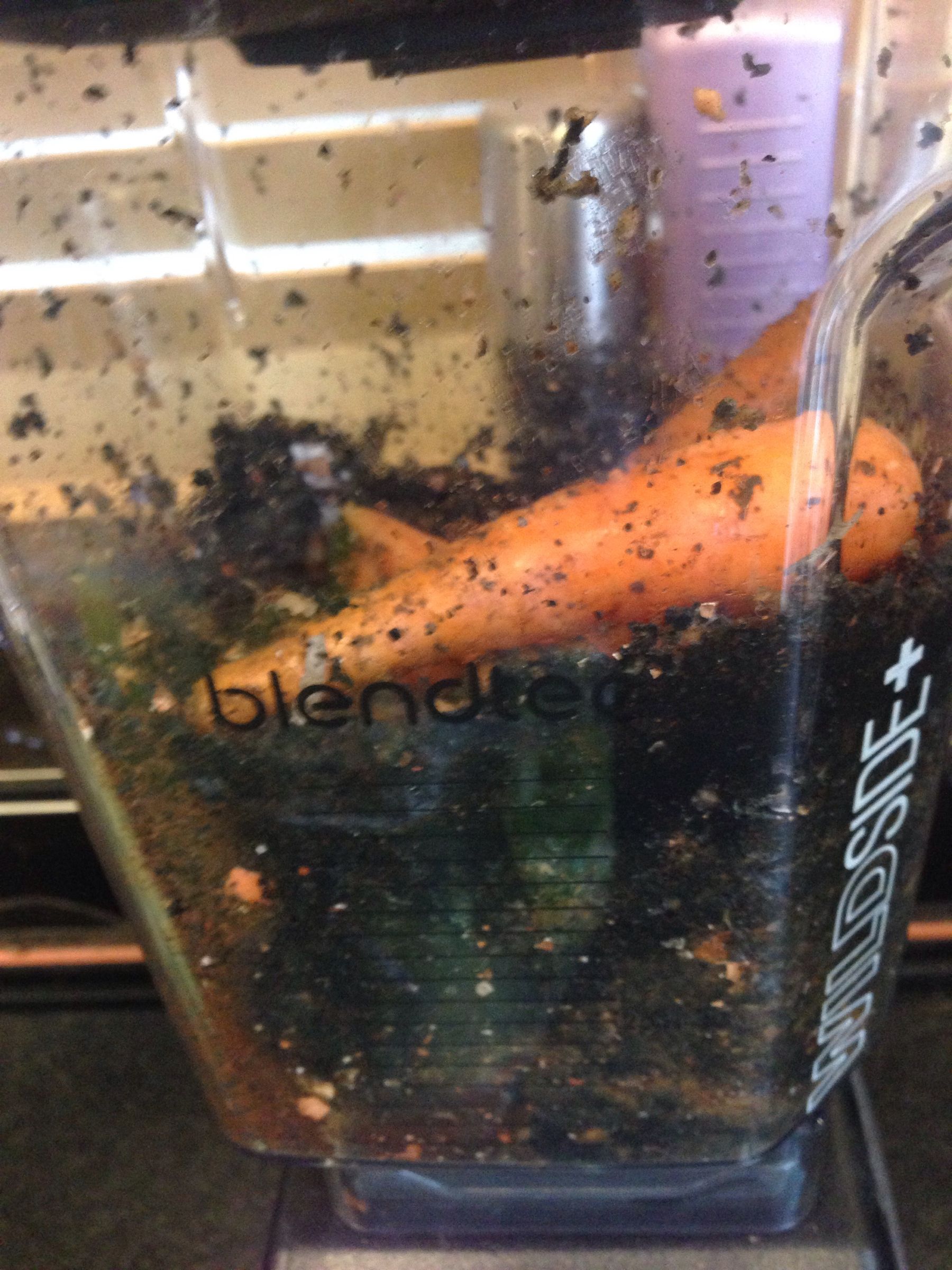 Make Worm Food for Your Wormery : 4 Steps (with Pictures) - Instructables