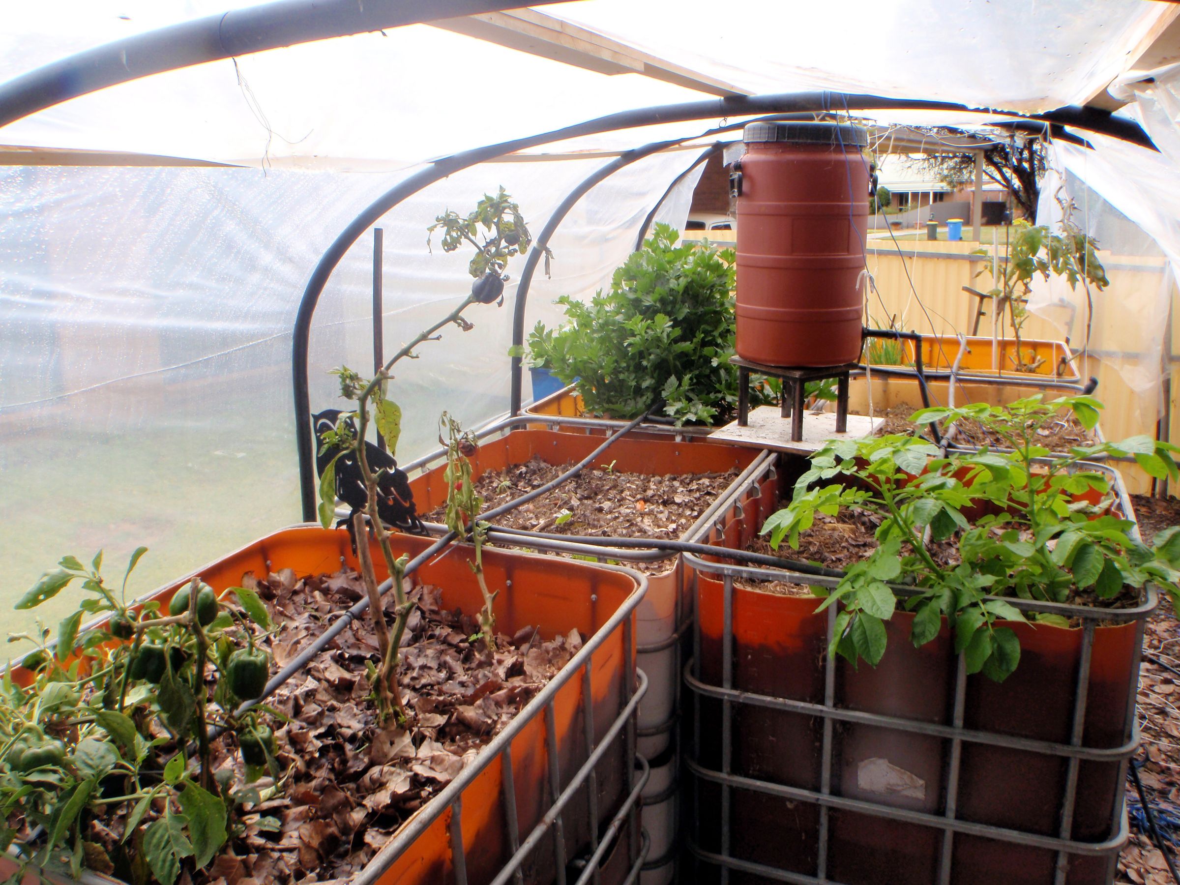 Vermiponic Garden : 12 Steps (with Pictures) - Instructables