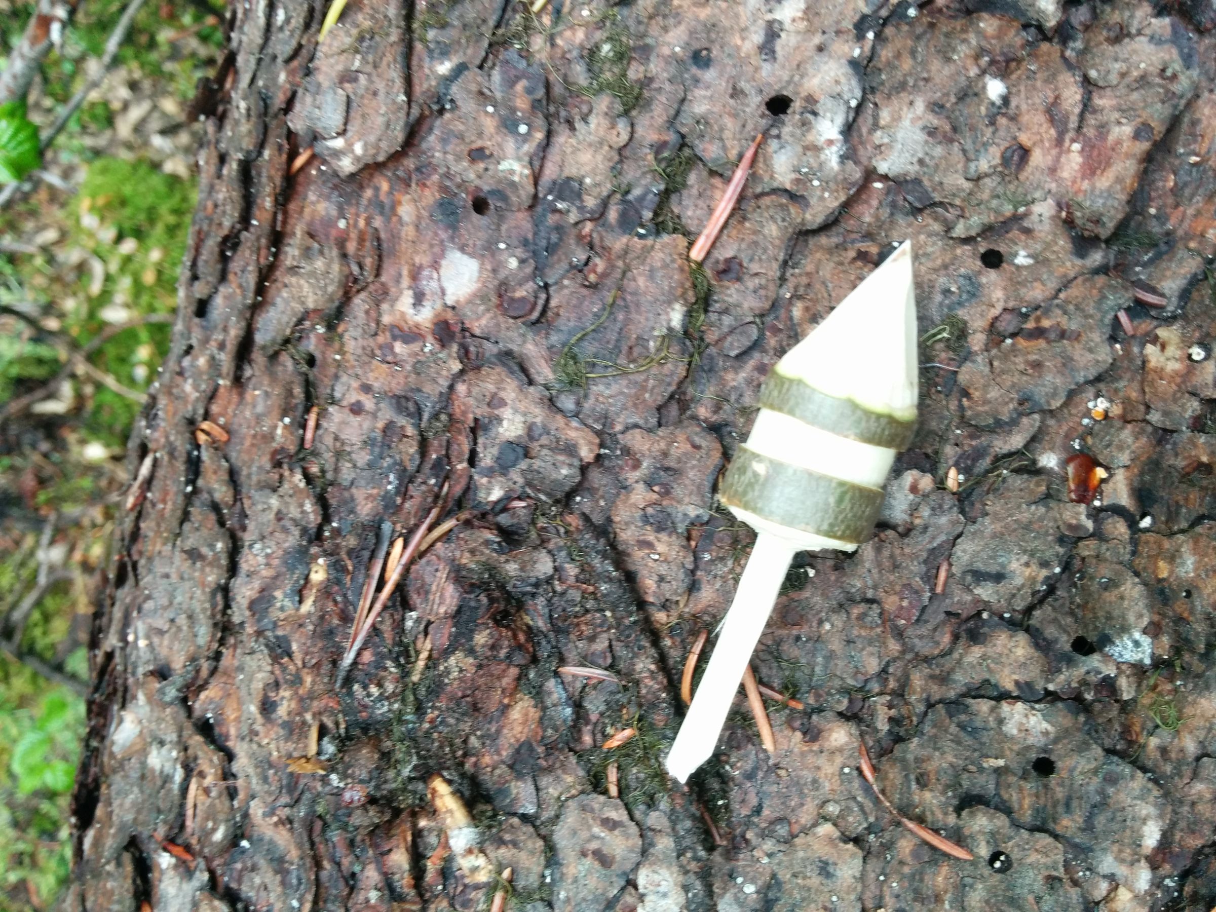 Hand Carved Spinning Top : 6 Steps (with Pictures) - Instructables