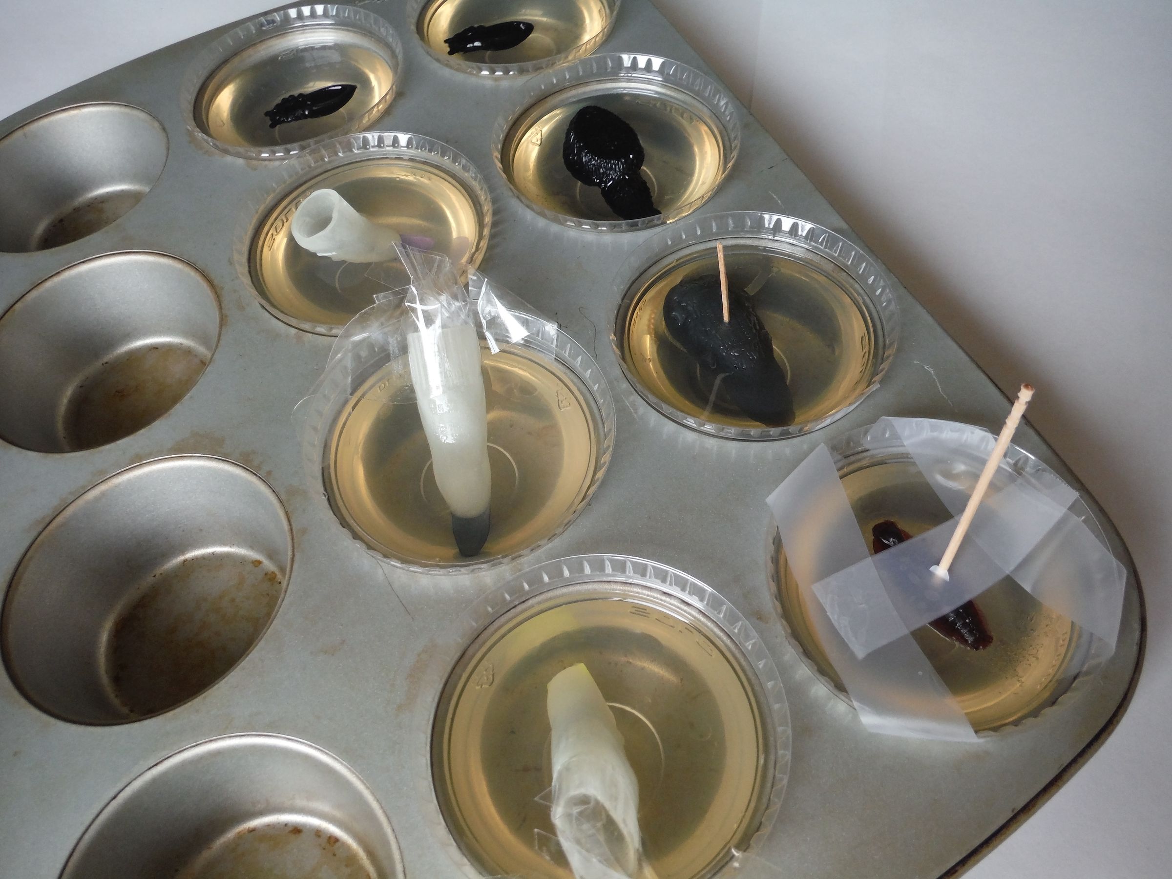 How to Make (edible) Creepy Things Encapsulated in Gelatin : 10 Steps ...