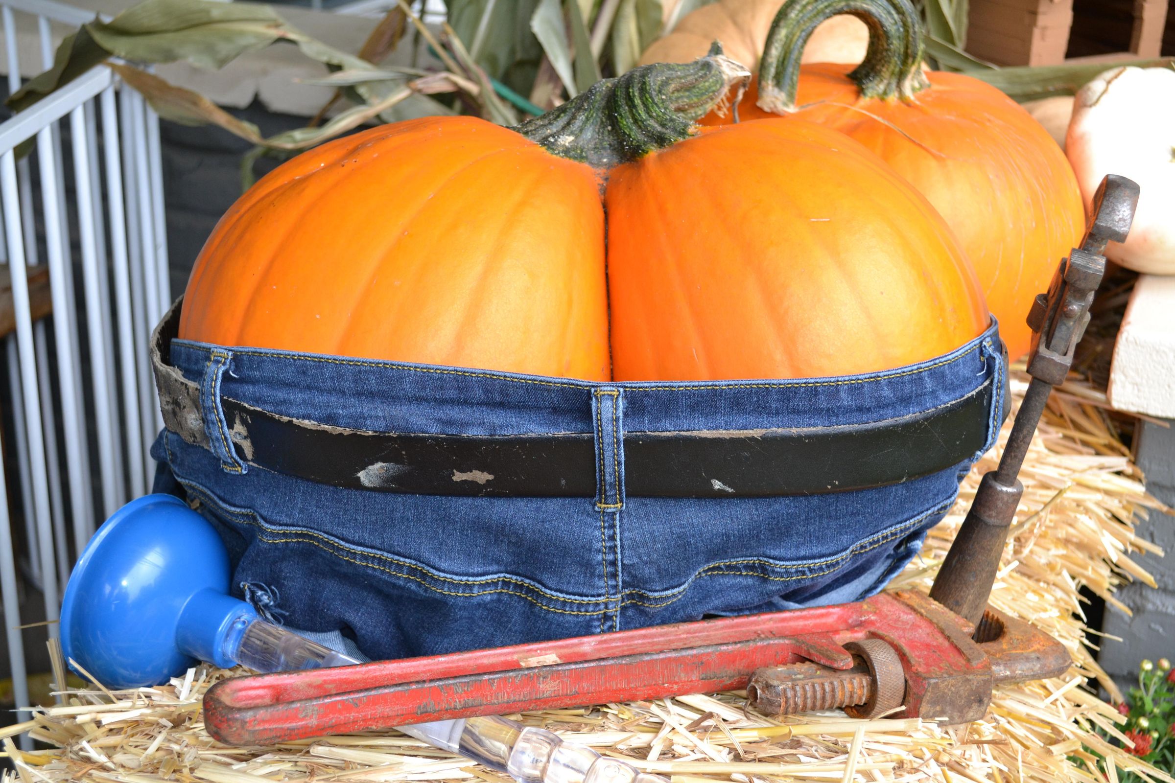 What Does a Rumpkin at Work Look Like? : 3 Steps (with Pictures ...