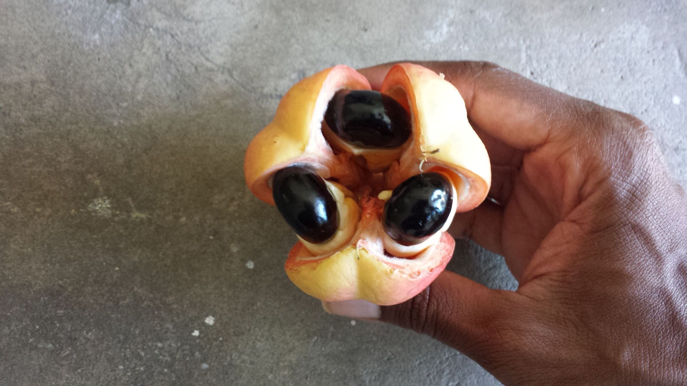 Stir Fry Ackee & Mixed Vegetables : 5 Steps - Instructables