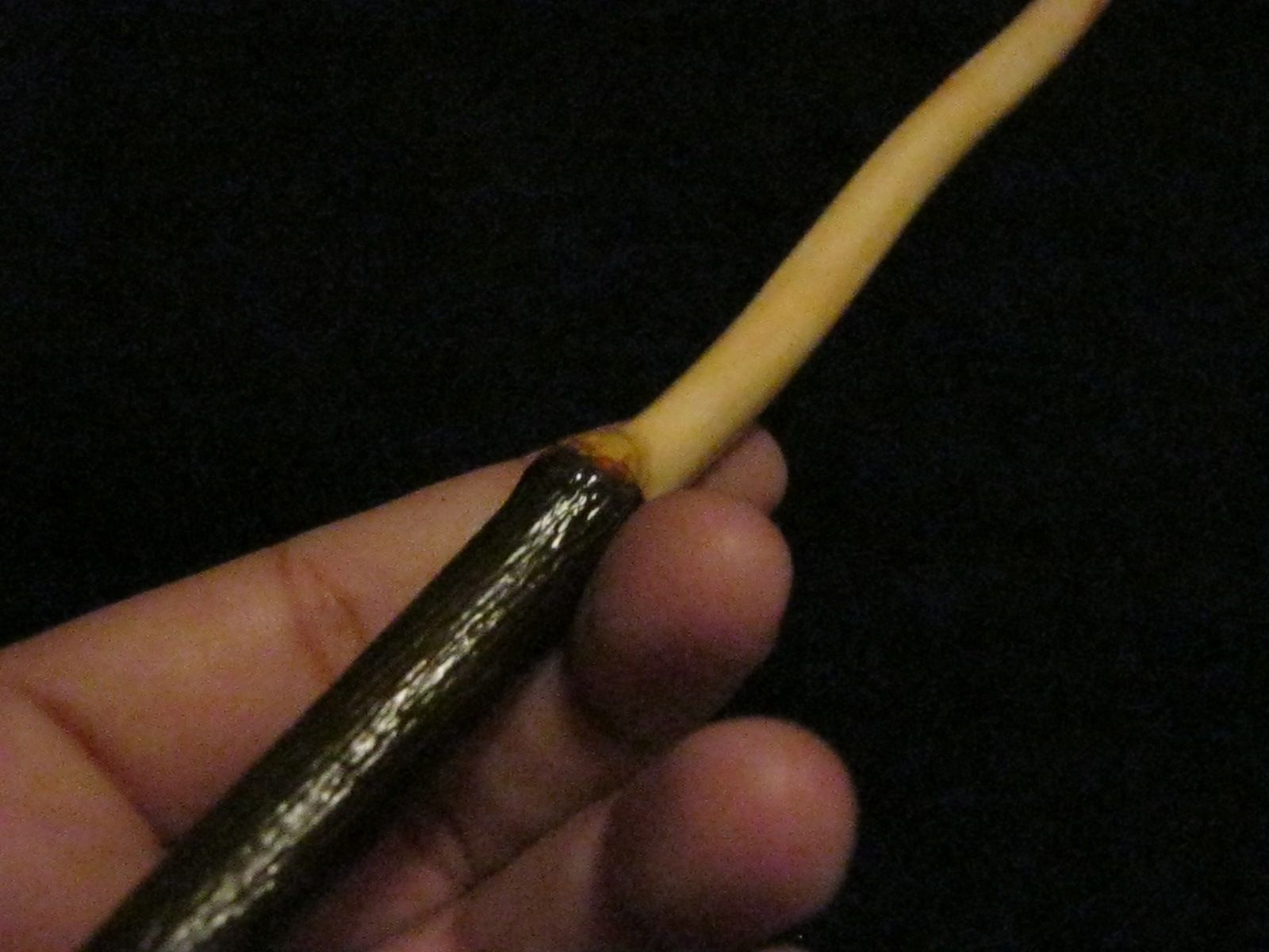 Willow Wand Pottermore