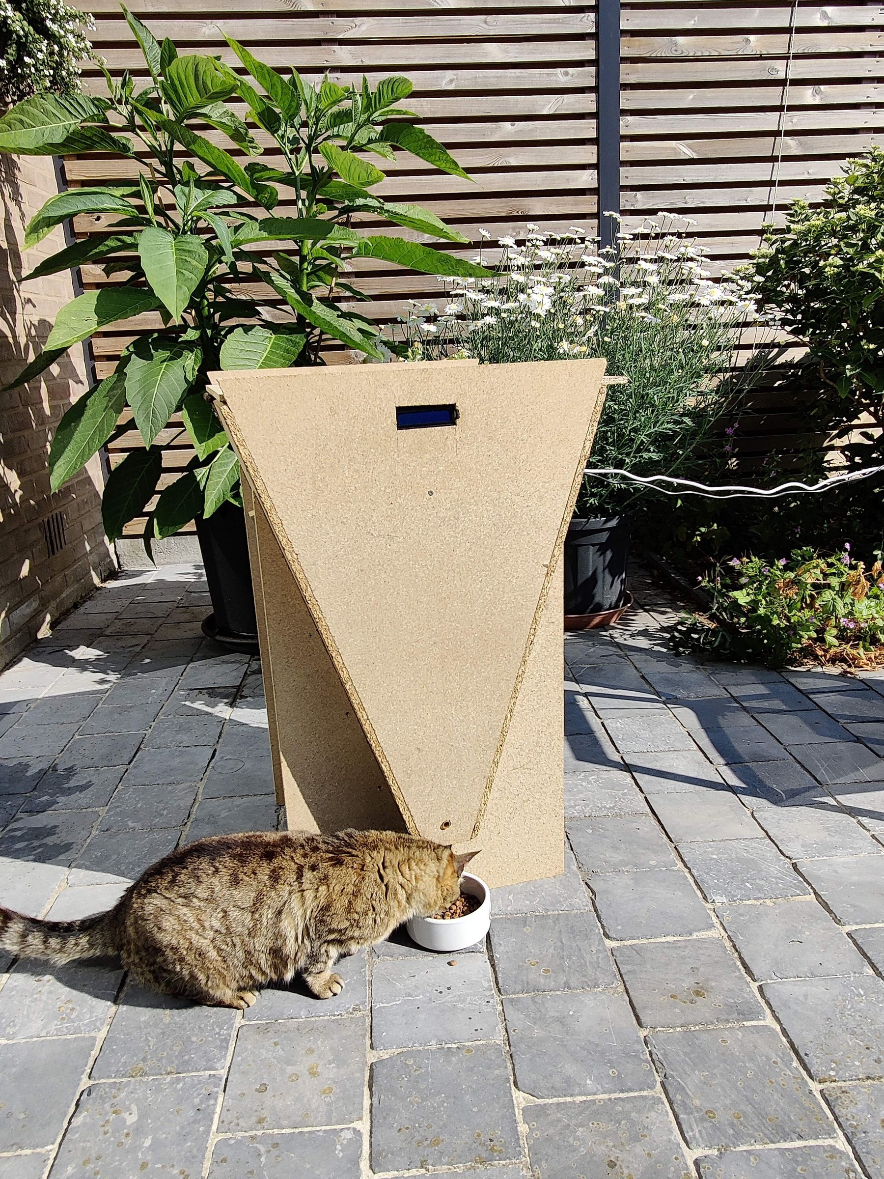 Smart Feeder : 4 Steps - Instructables