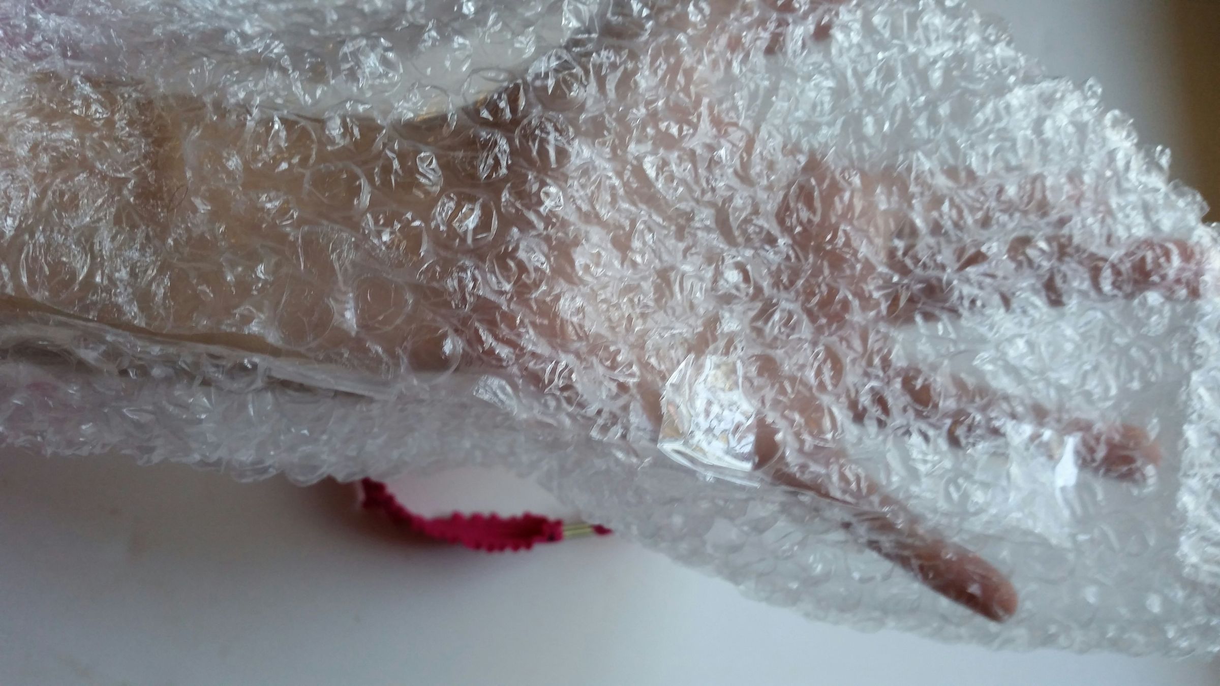 Halloween Costume: Mail Order Bride : 6 Steps (with Pictures ...